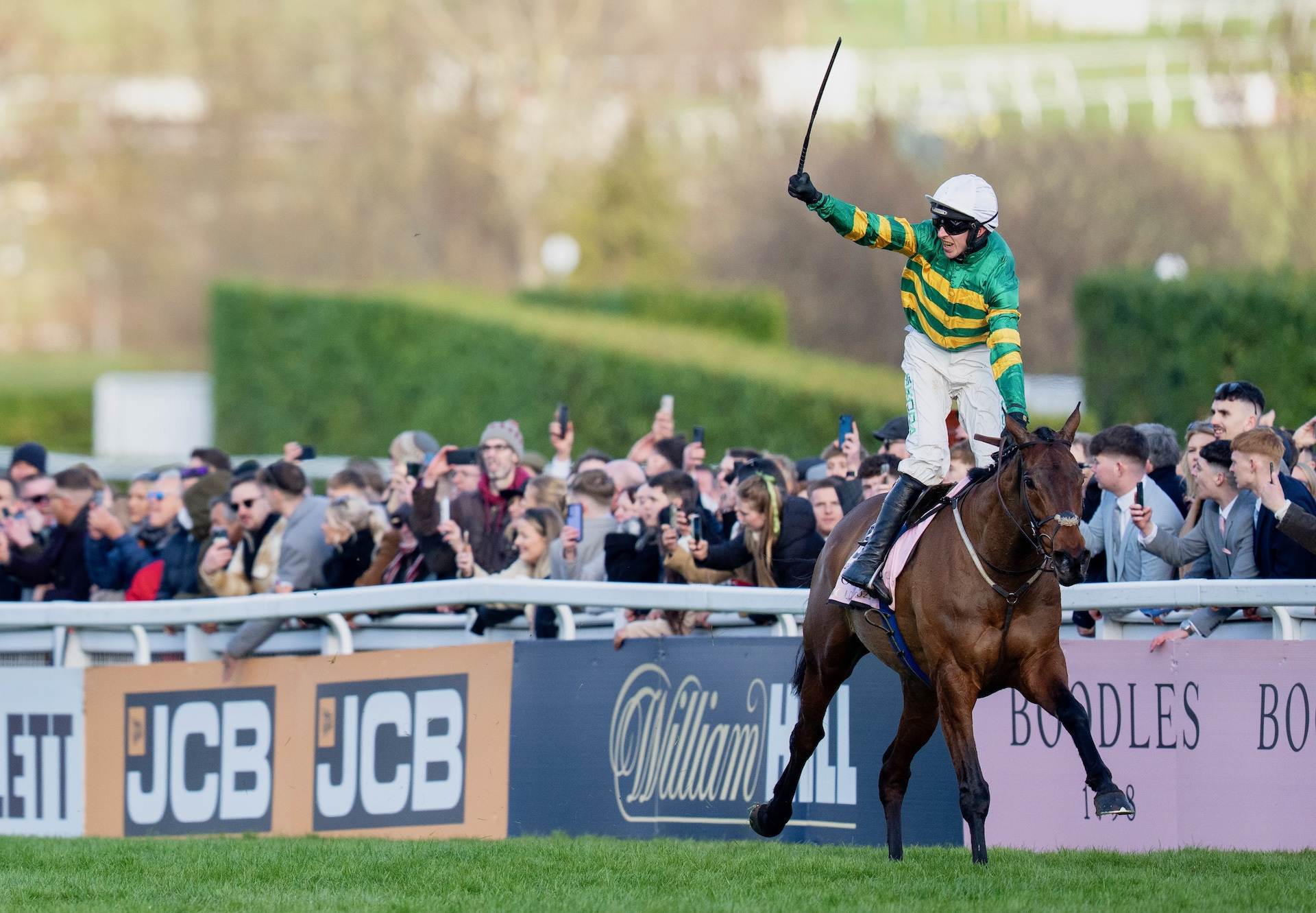 Walk In The Park’s Inothewayurthinkin Lifts Cheltenham Gold Cup