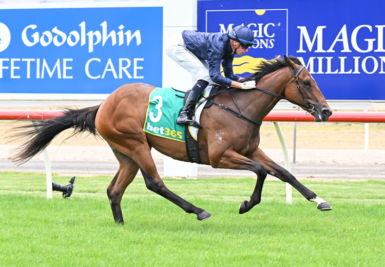 Brilliant Debut Victory for Home Affairs Filly