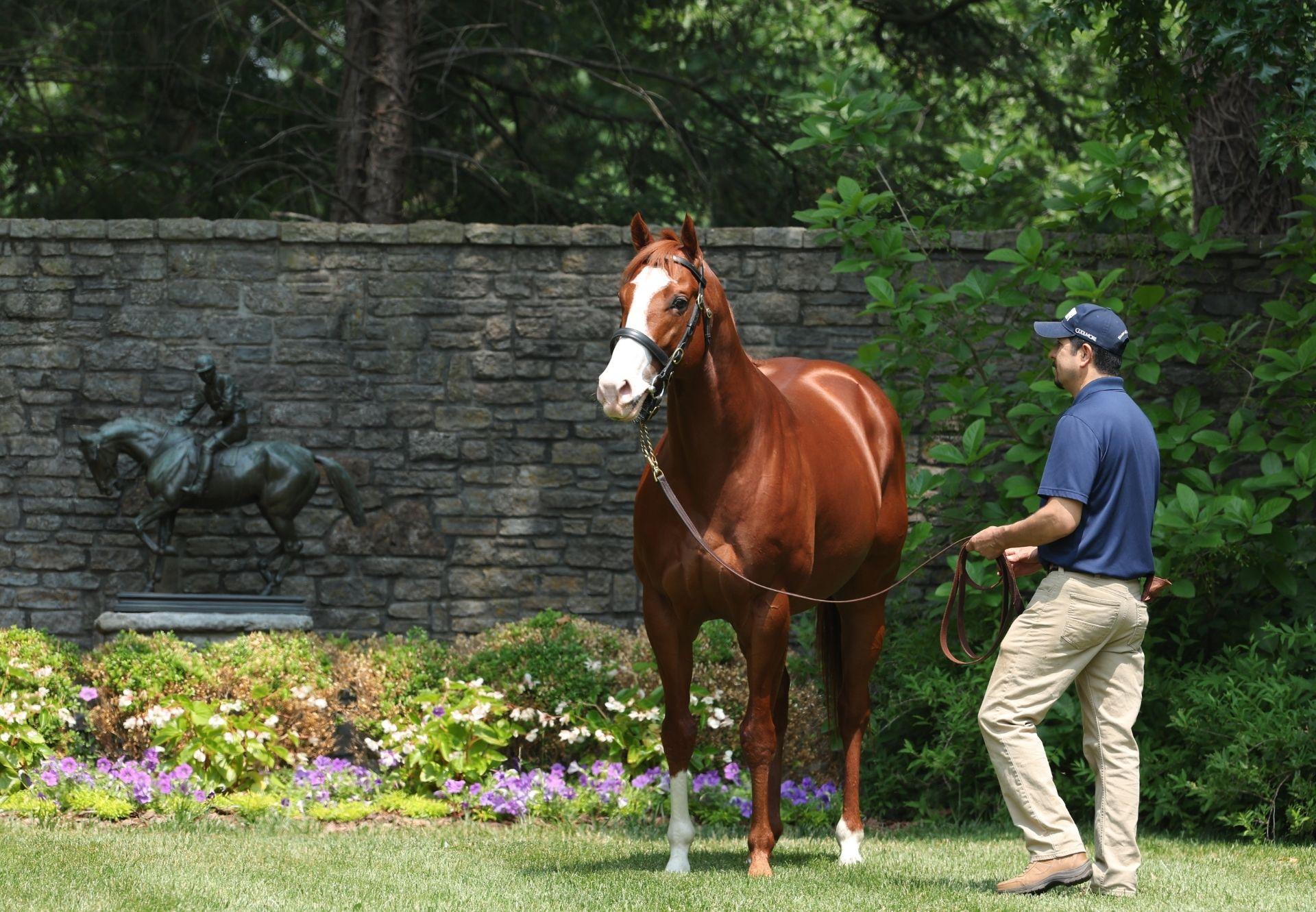 Jack Christopher Represented By First In-Foal Mares at Keeneland