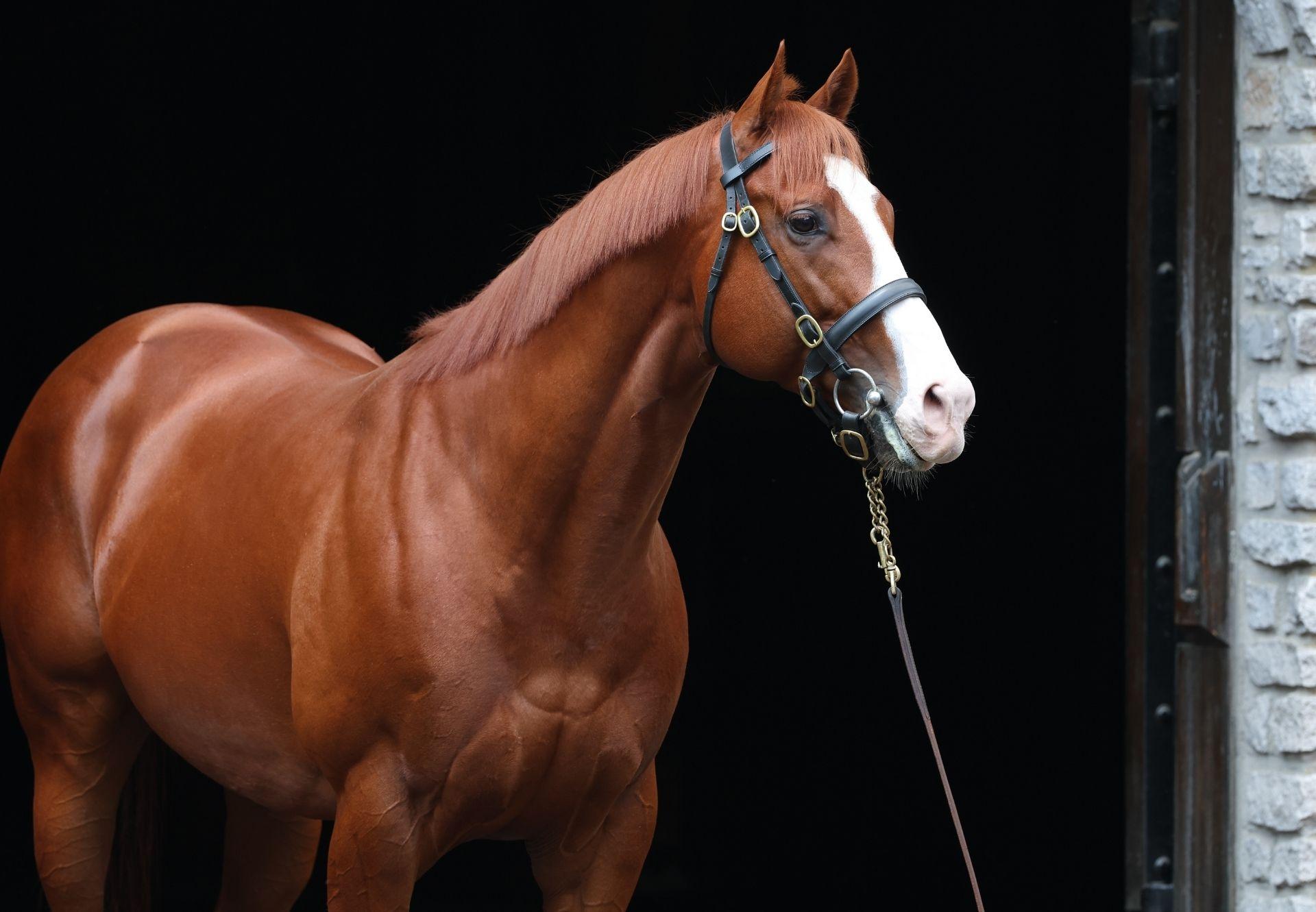 Jack Christopher Yearlings Set for Keeneland January