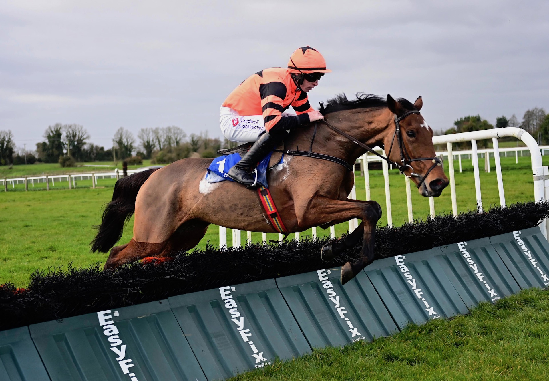 Classy Walk In The Park Mare Draws Clear In Maiden Hurdle