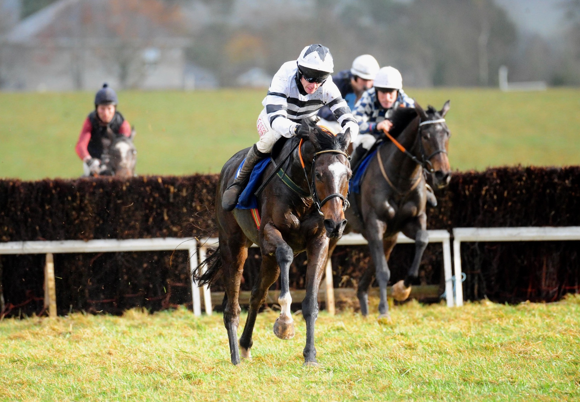 Full Brother To Mighty Douvan Draws Clear On Debut