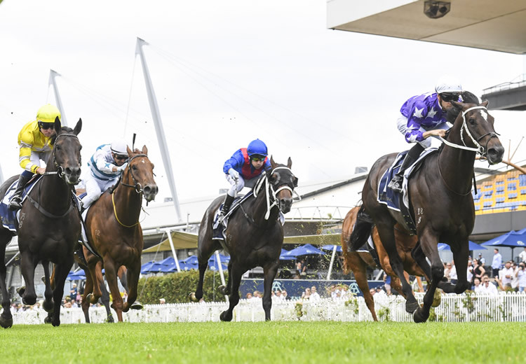 More Wins in Store for Kalino