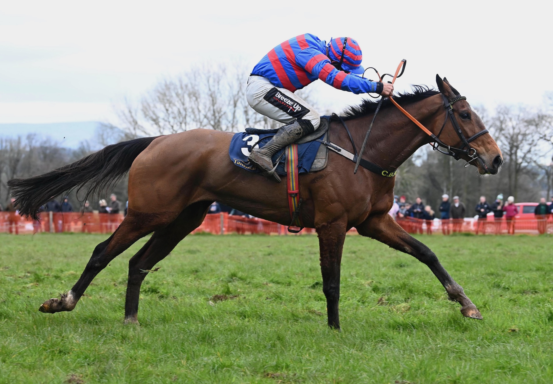 Daughter Of Westerner Gains Compensation At Monksgrange