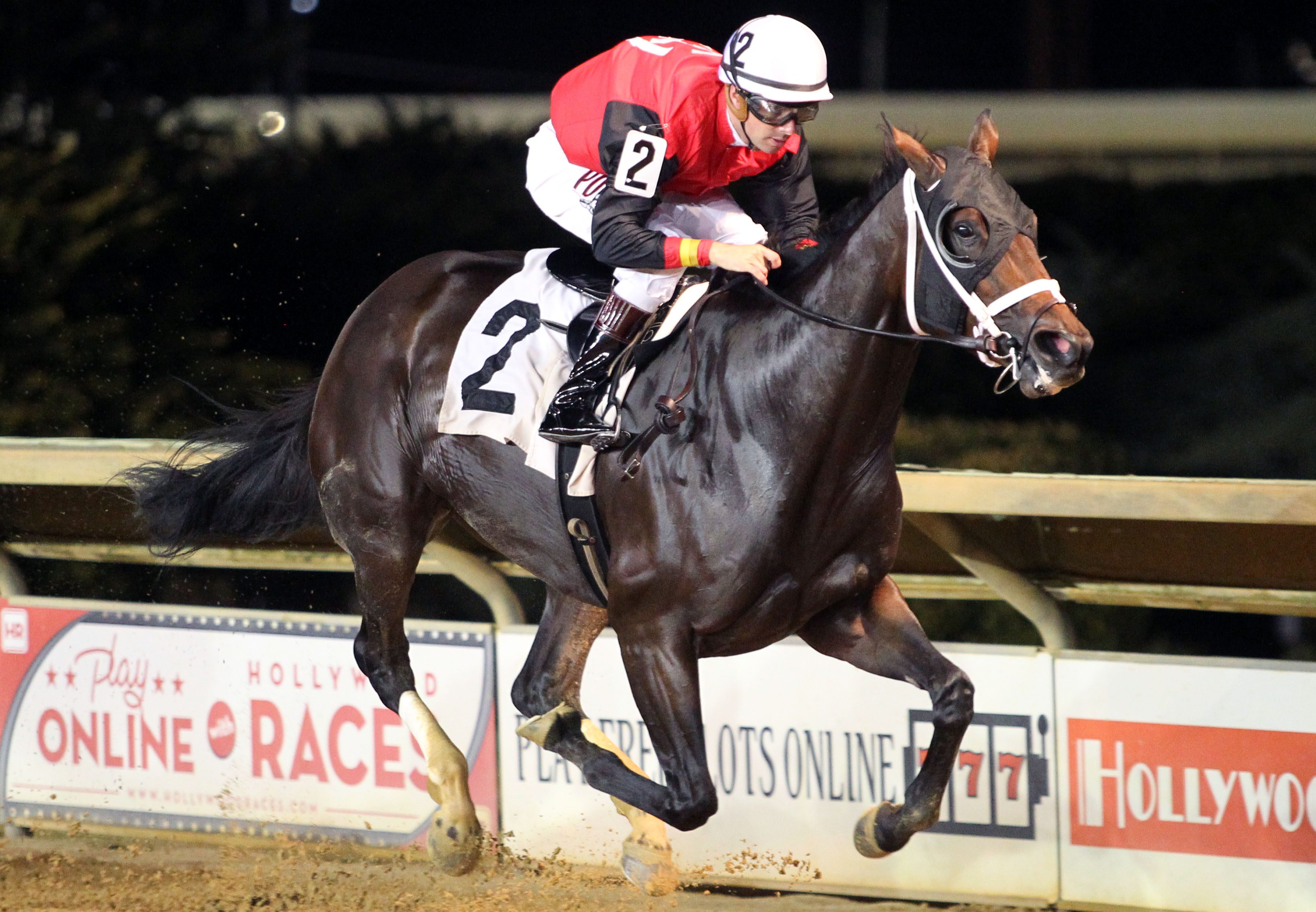 Lady Rocket 109th Stakes Winner for Tale of the Cat