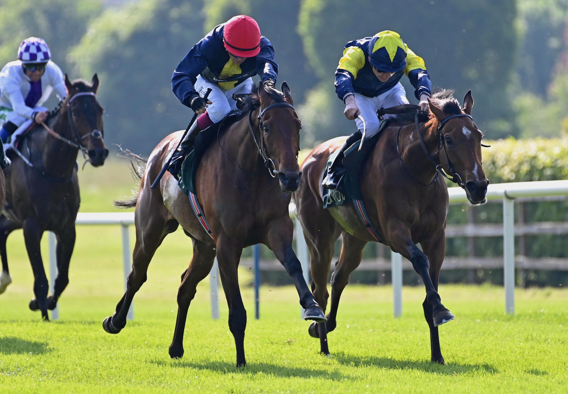 Churchill Filly Rallies For Maiden Victory