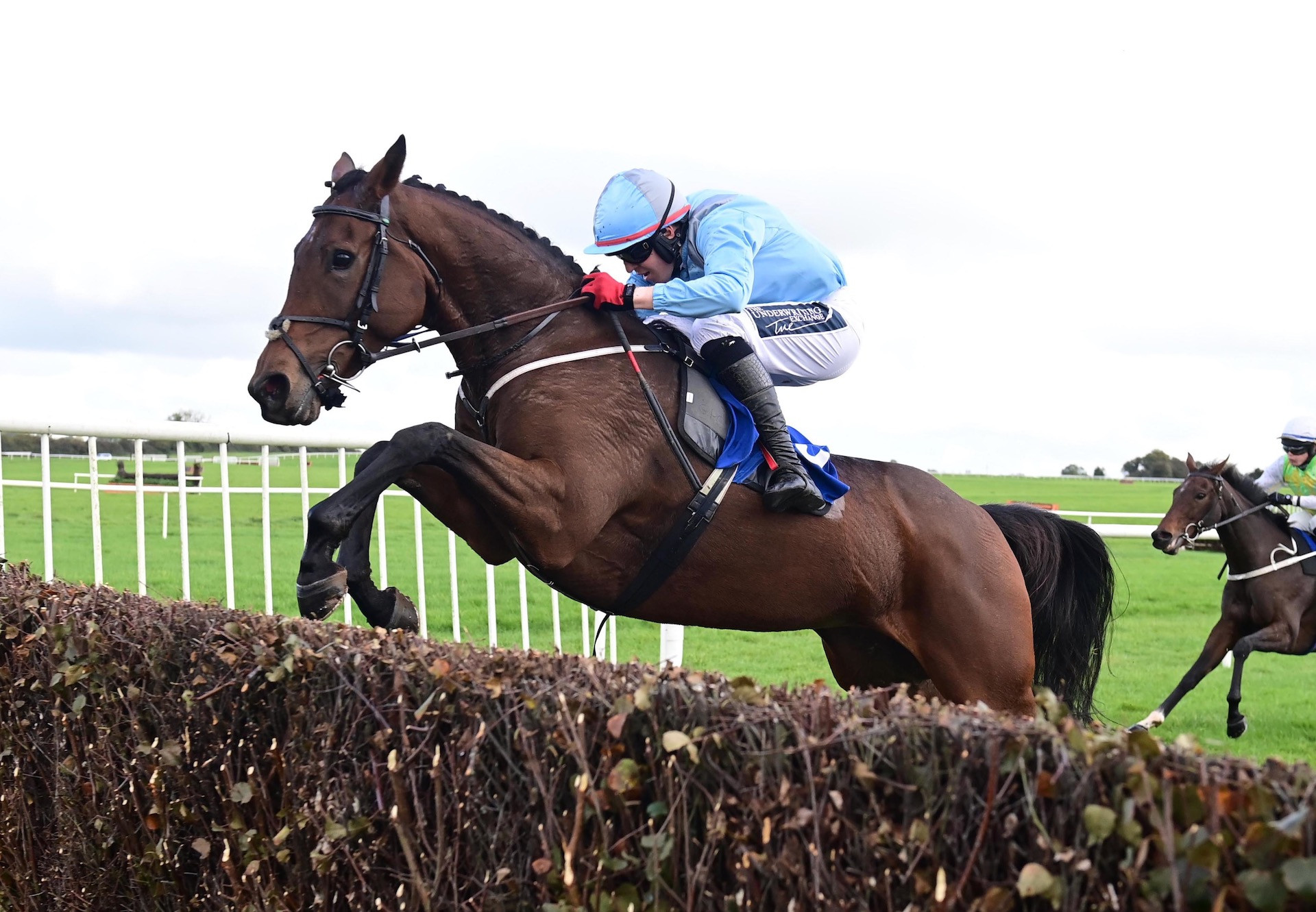 Classy Daughter of Yeats Impresses On Chase Debut