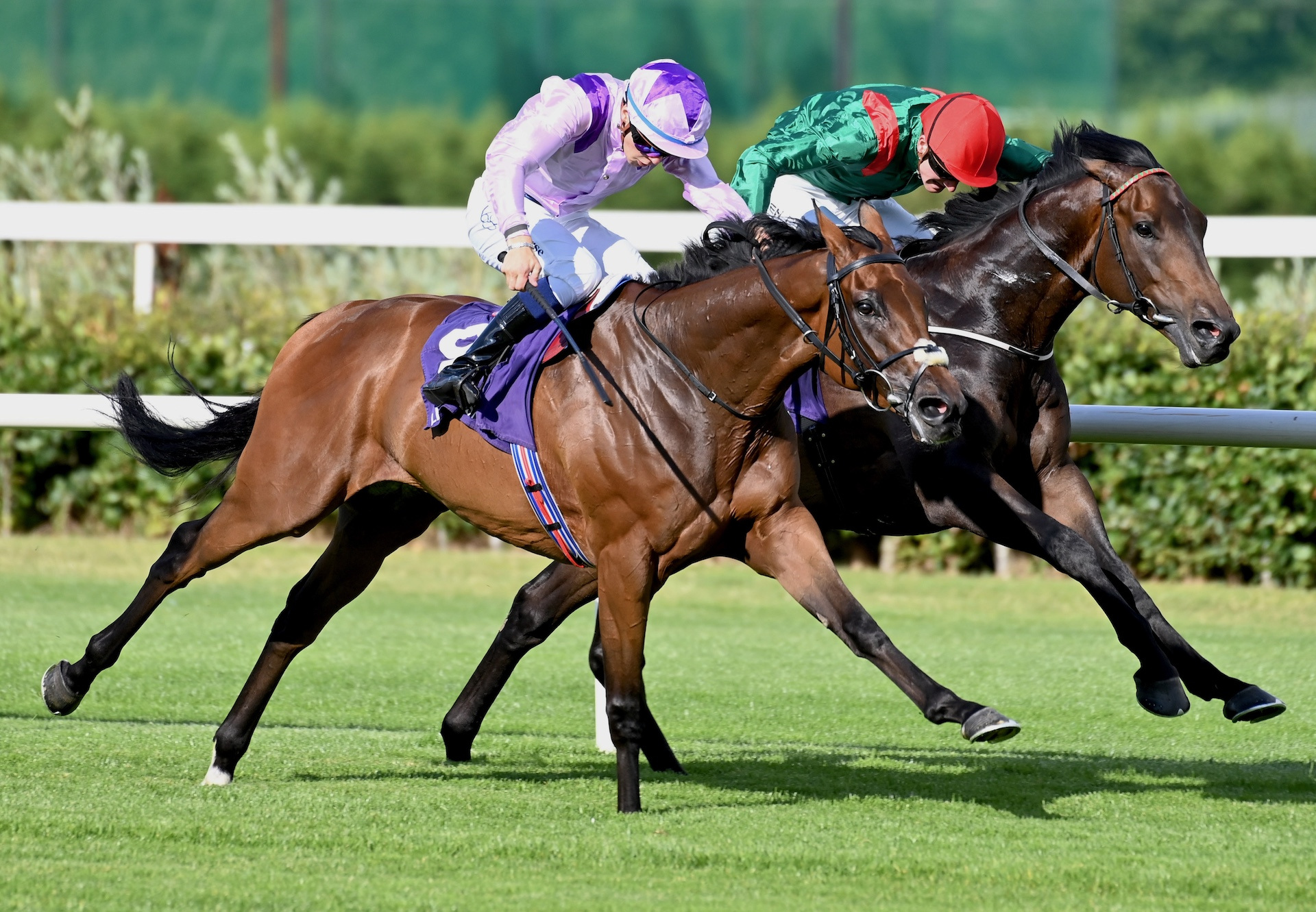 Promising Son Of Camelot Delivers At Leopardstown