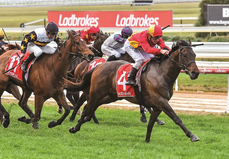 Pierro Colt Aiming Towards Guineas