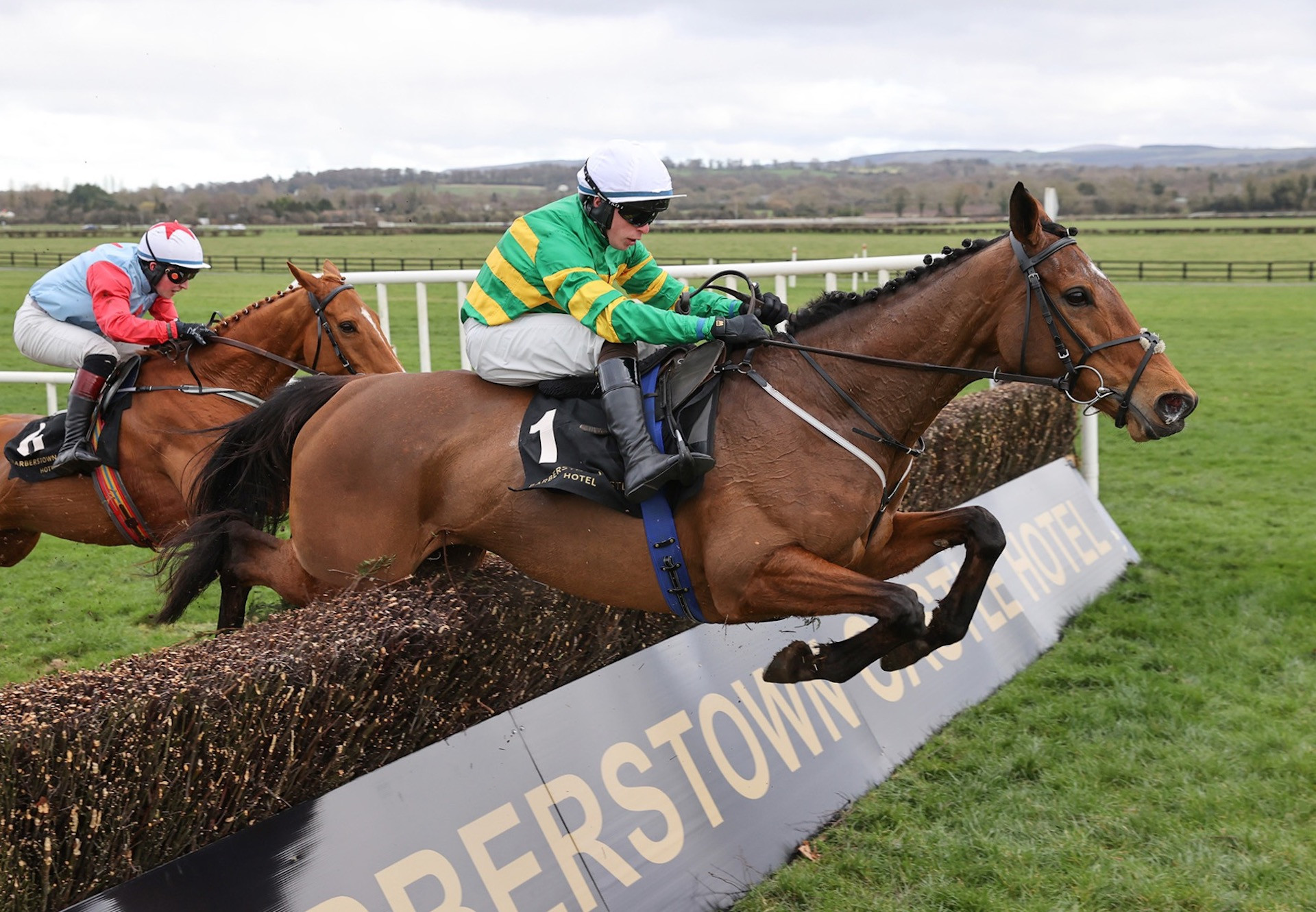 Walk In The Park Mare Lands Grade B Chase