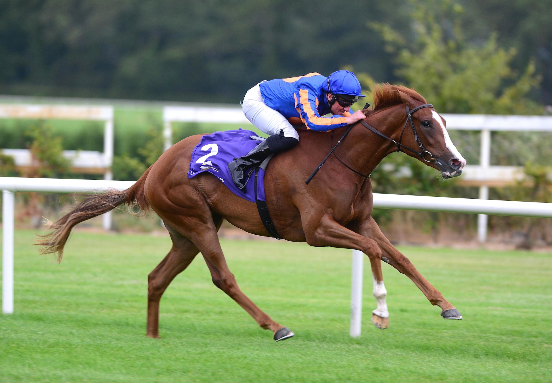 Galileo Completes Incredible Stakes Clean-Sweep