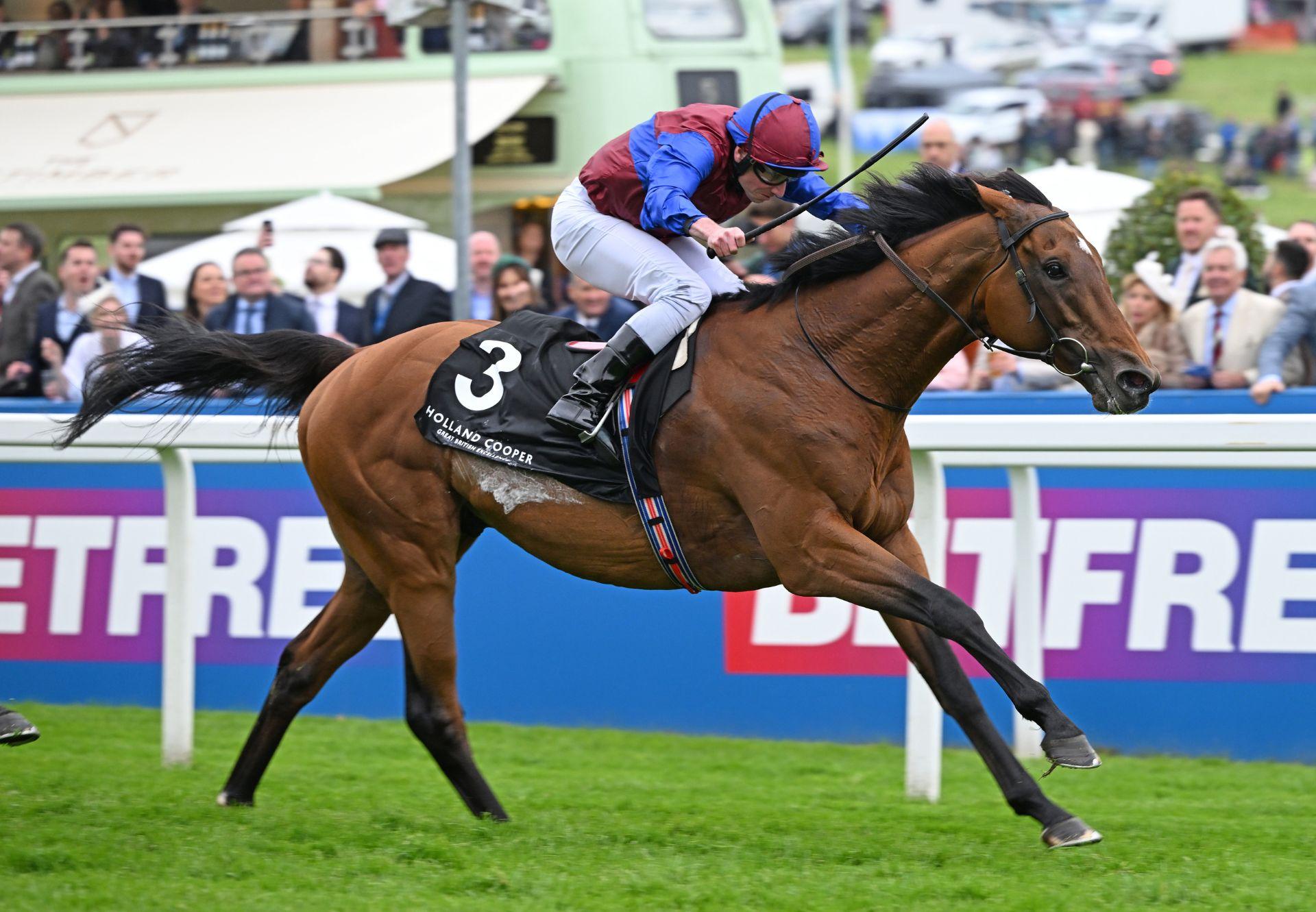 Quality First Foal for Luxembourg