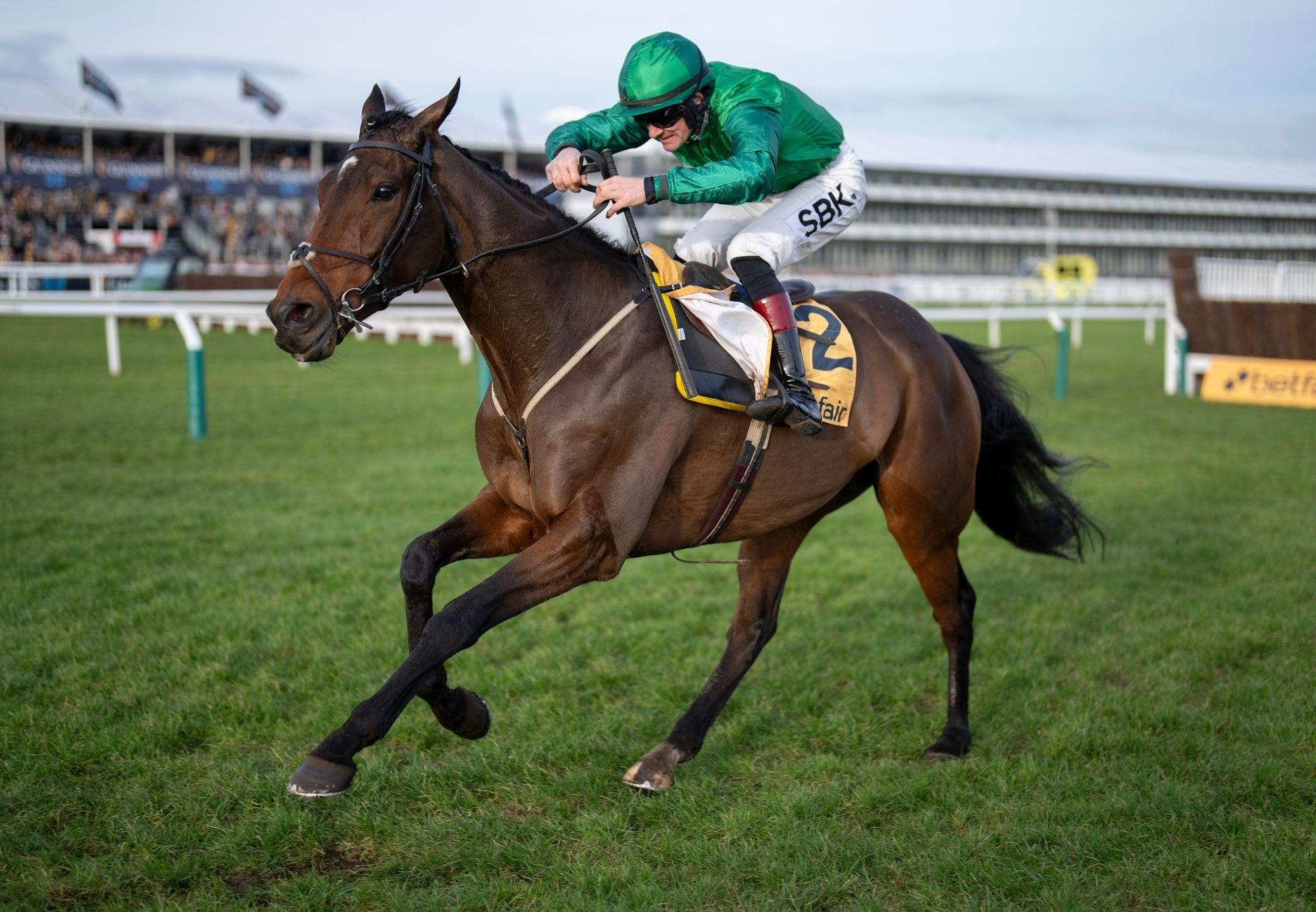 Another Big Prize For High-Class Vadamos Gelding