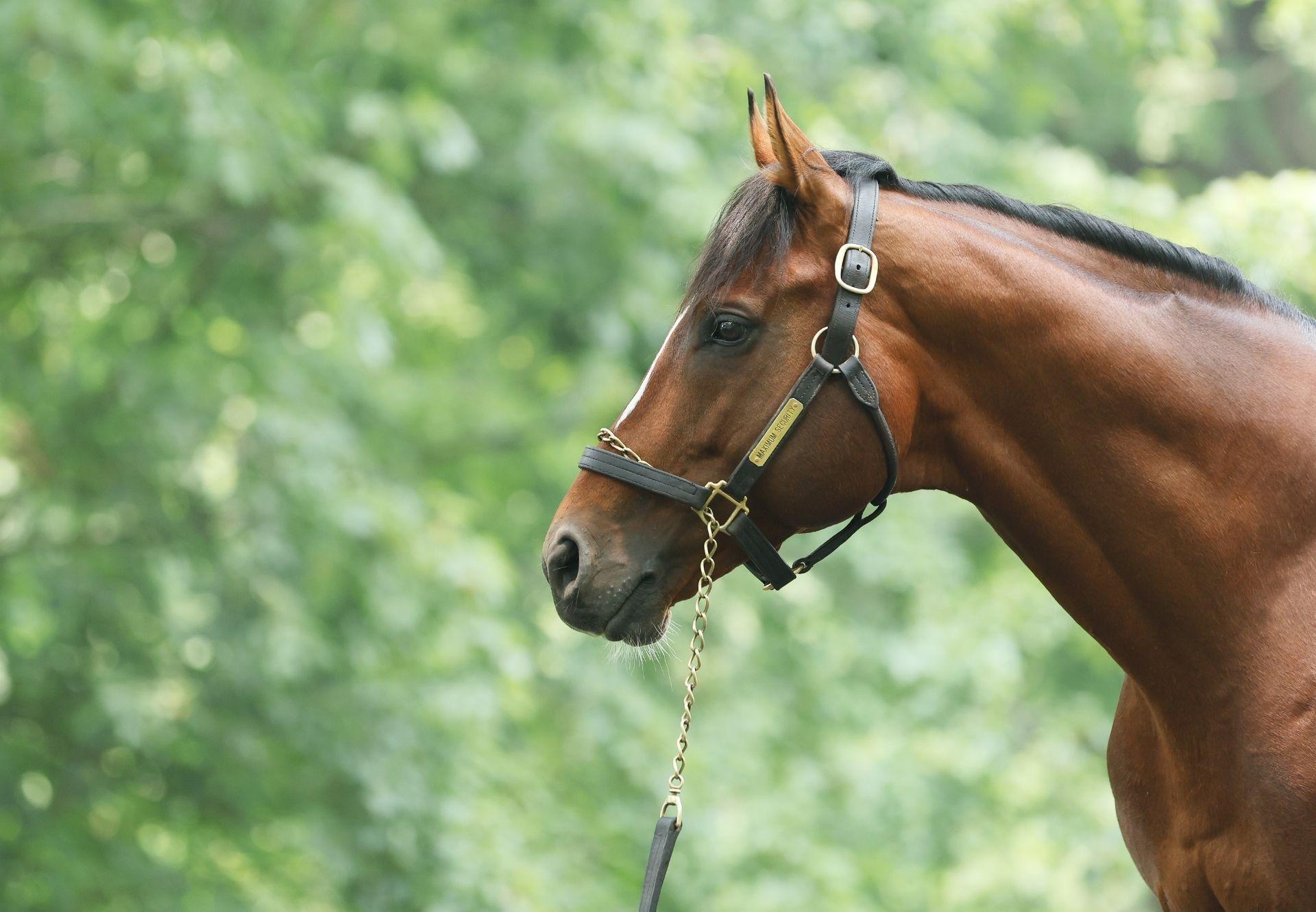 Maximum Security Juvenile Scores Again