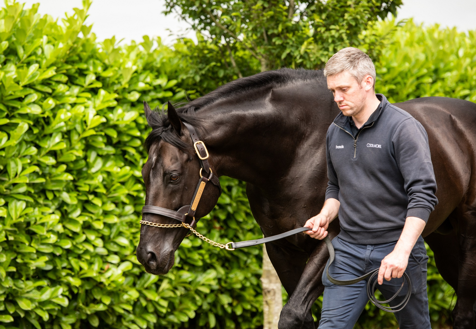 Promising Son Of Maxios Off The Mark Over Hurdles