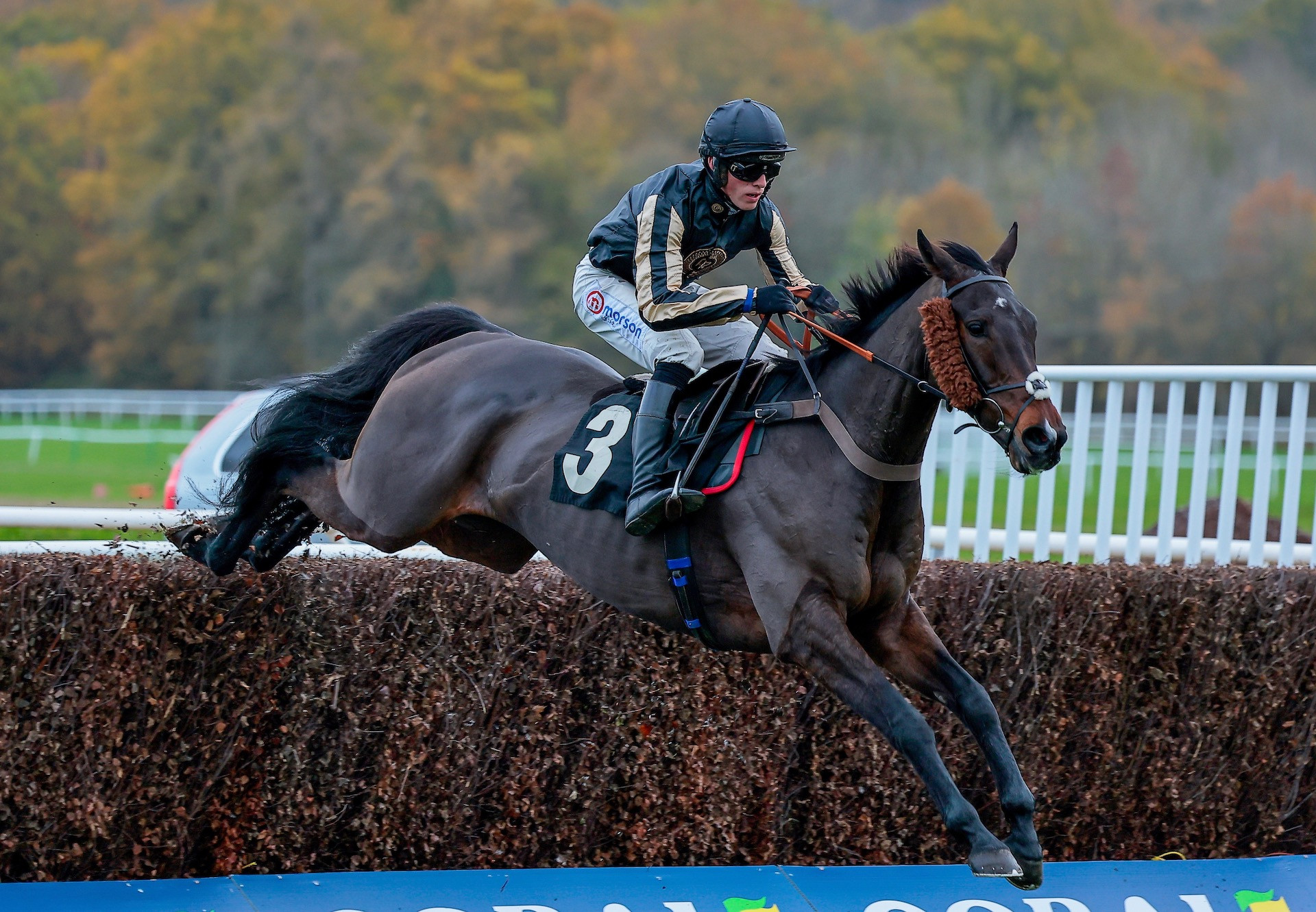 Son Of Milan Adds Grade 2 Chase To Fabulous Record