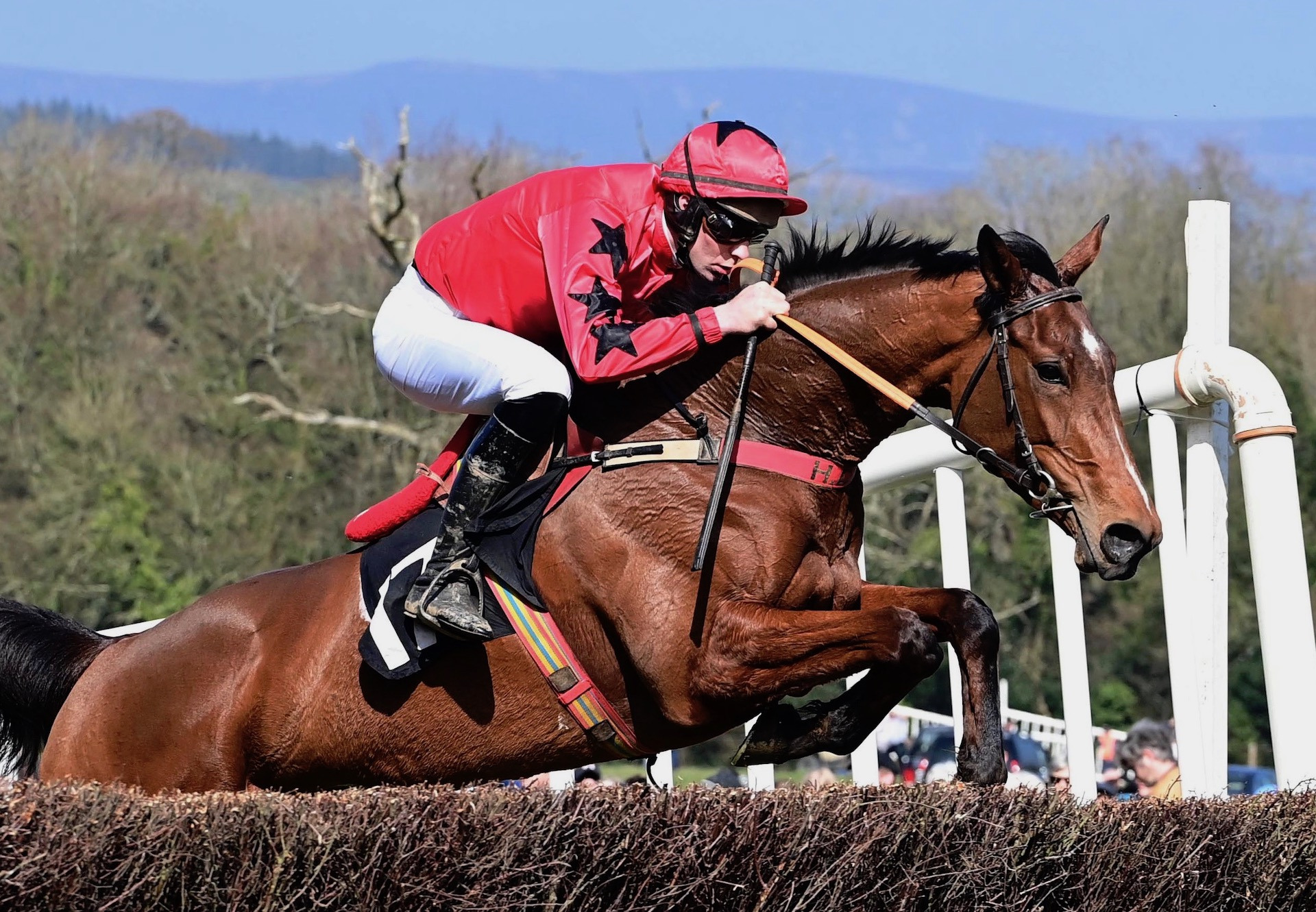 Impressive Four Year Old Winner By Walk In The Park