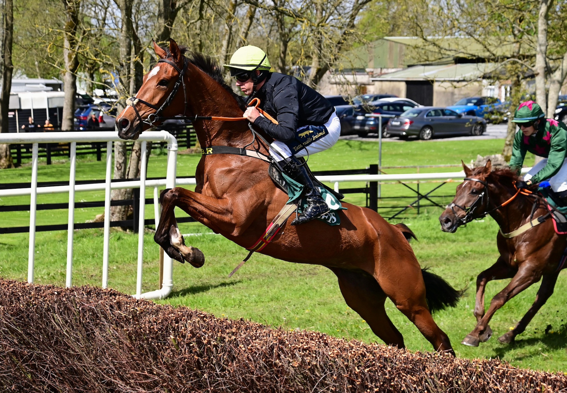Impressive Four-Year-Old Winner By Order Of St George