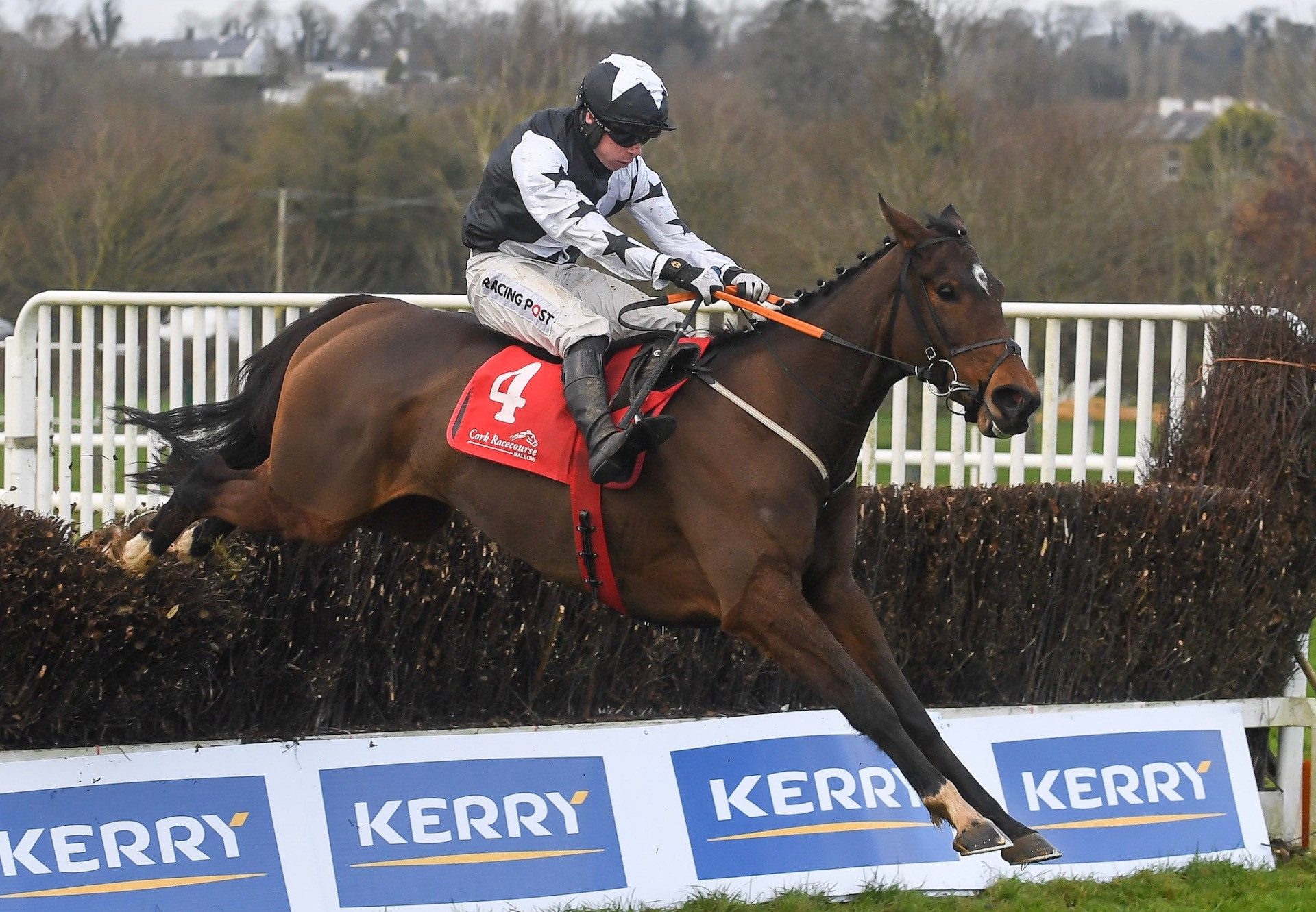 Daughter Of Yeats Excels In Grade 3 Chase