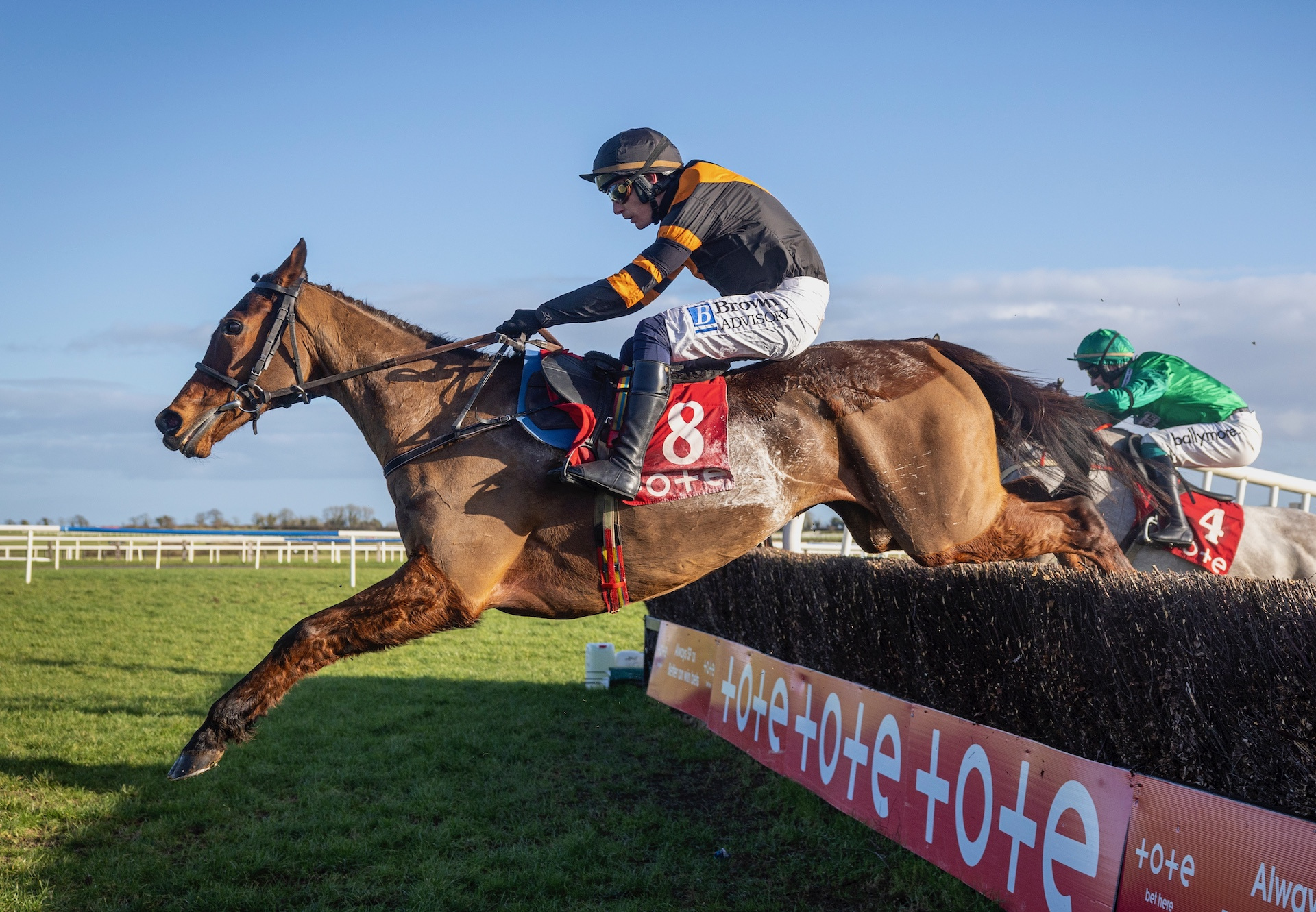 Back-To-Back Grade 3 Wins For Son Of Walk In The Park