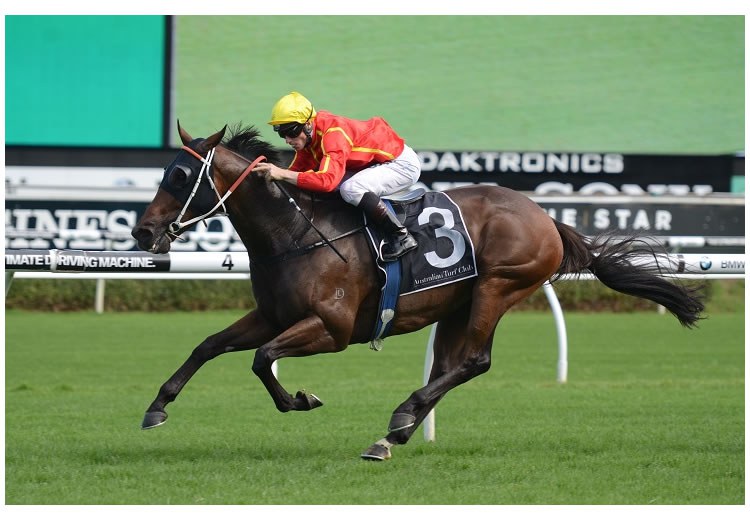 Fastnet Rock Sprinter Wins Stakes