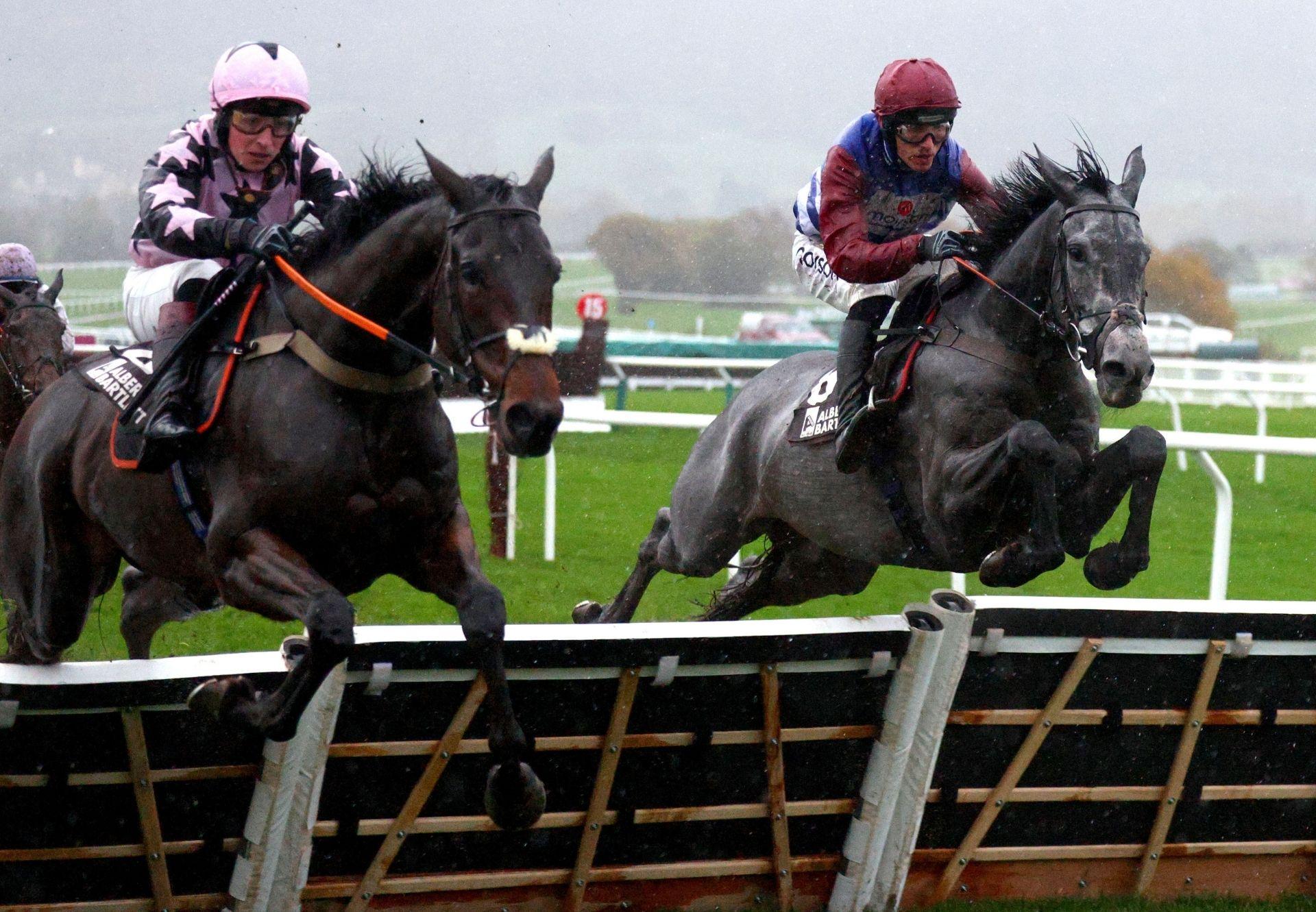 Walk In The Park’s No Drama This End Impresses With Cheltenham Win