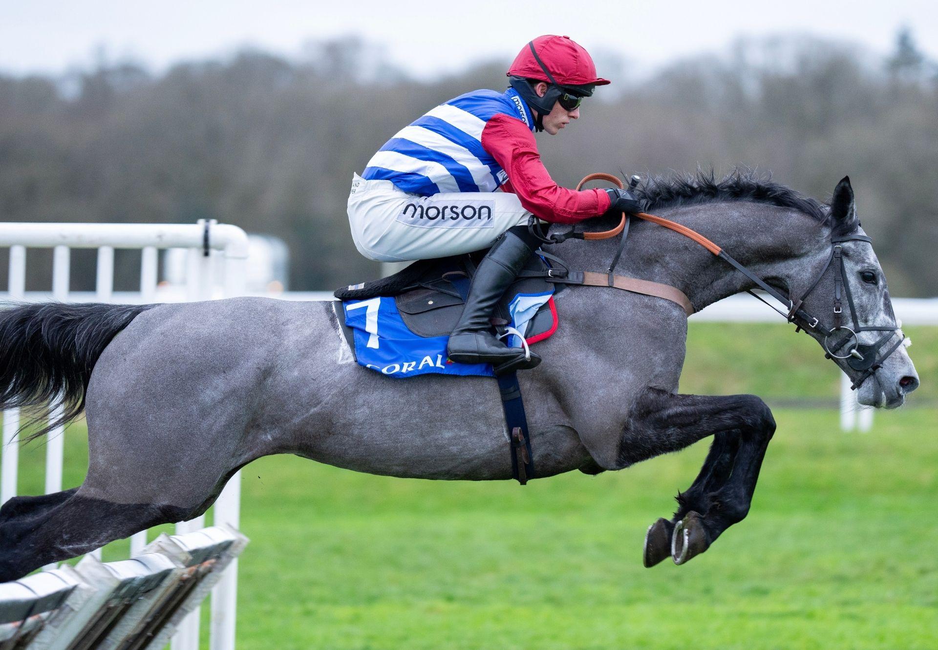 Grade 1 Success For Walk In The Park’s No Drama This End