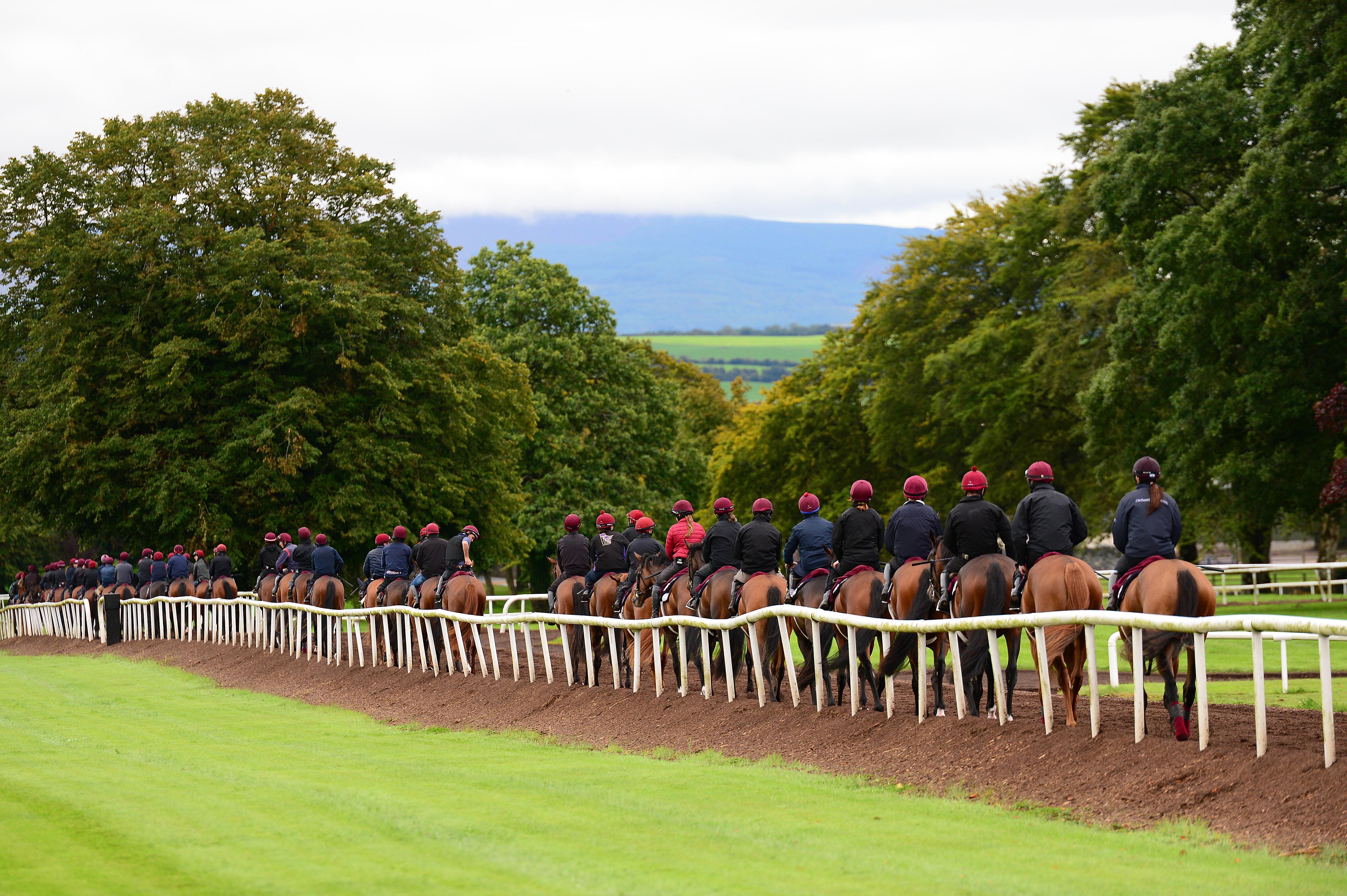 Ballydoyle’s Declarations for Friday 23rd August 2024.