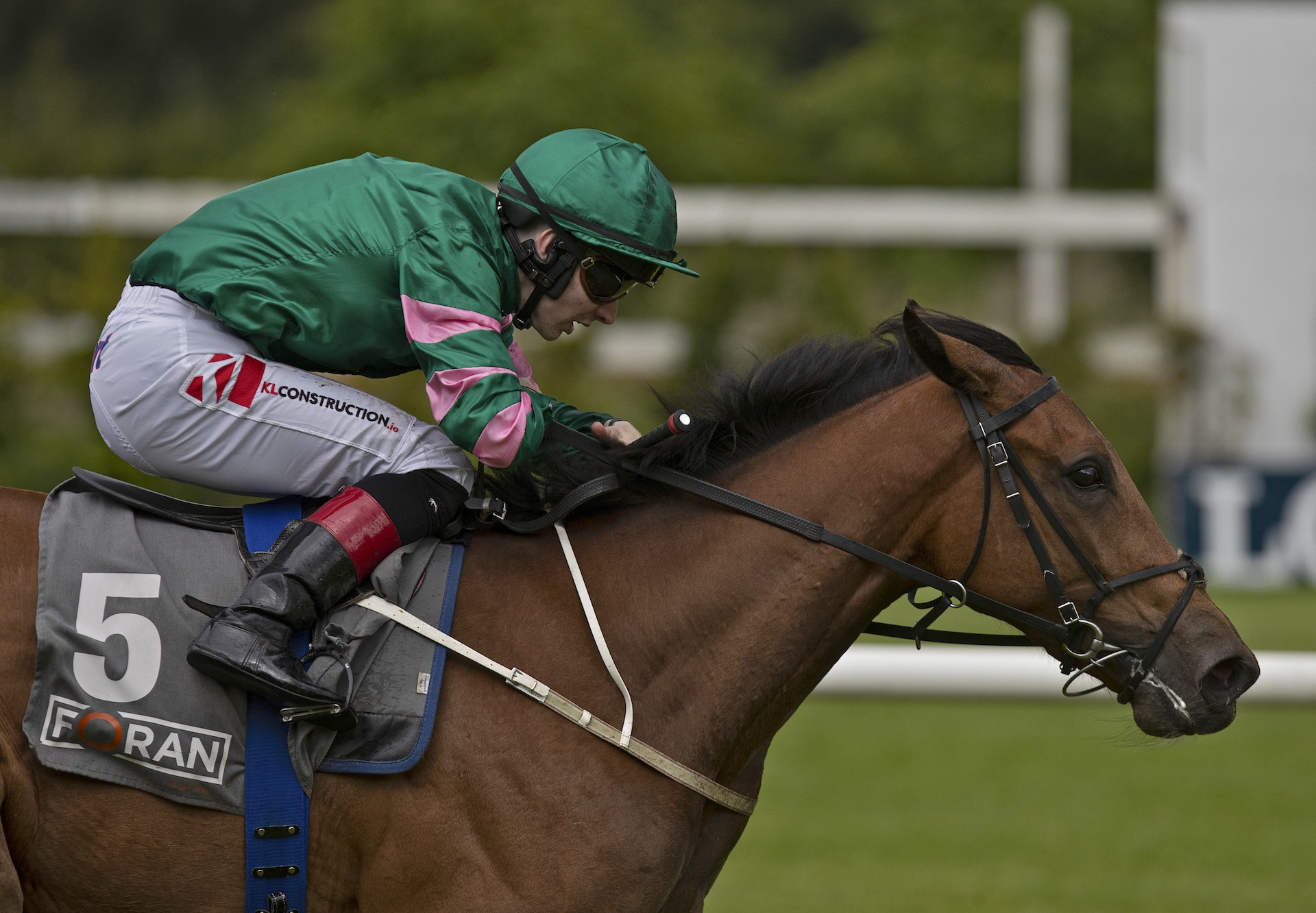 Fastnet Rock Filly Makes Winning Debut At Leopardstown