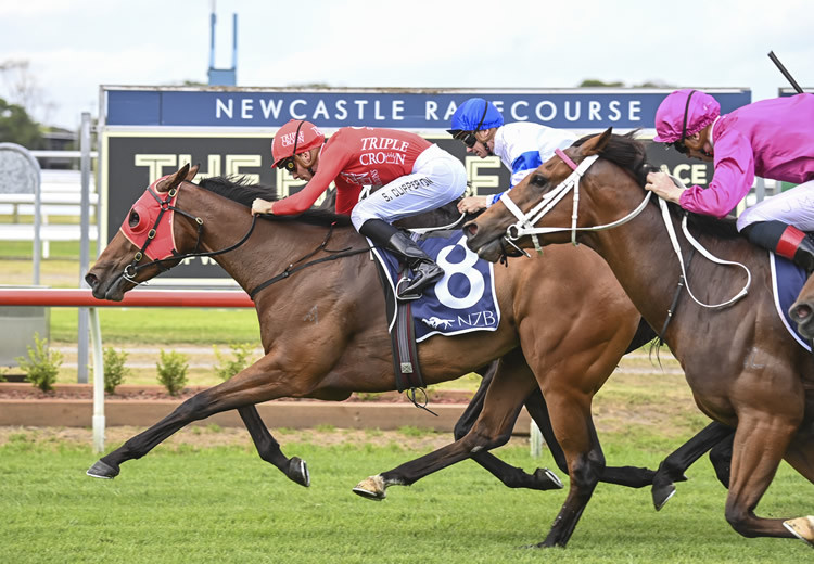 Pierro Filly Wins G3 Spring Stakes