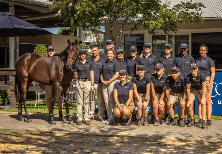 Pierro Filly From Winx Sells for World Record $10million