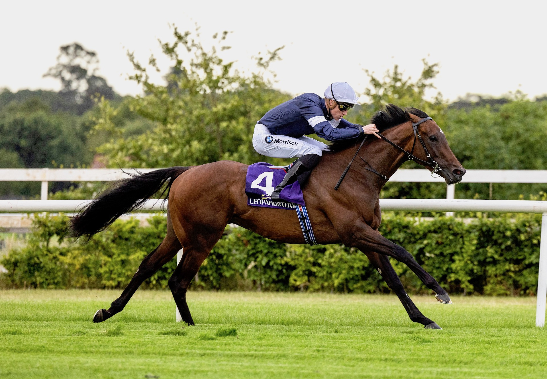 Classy Son Of Camelot Draws Clear To Maiden Victory
