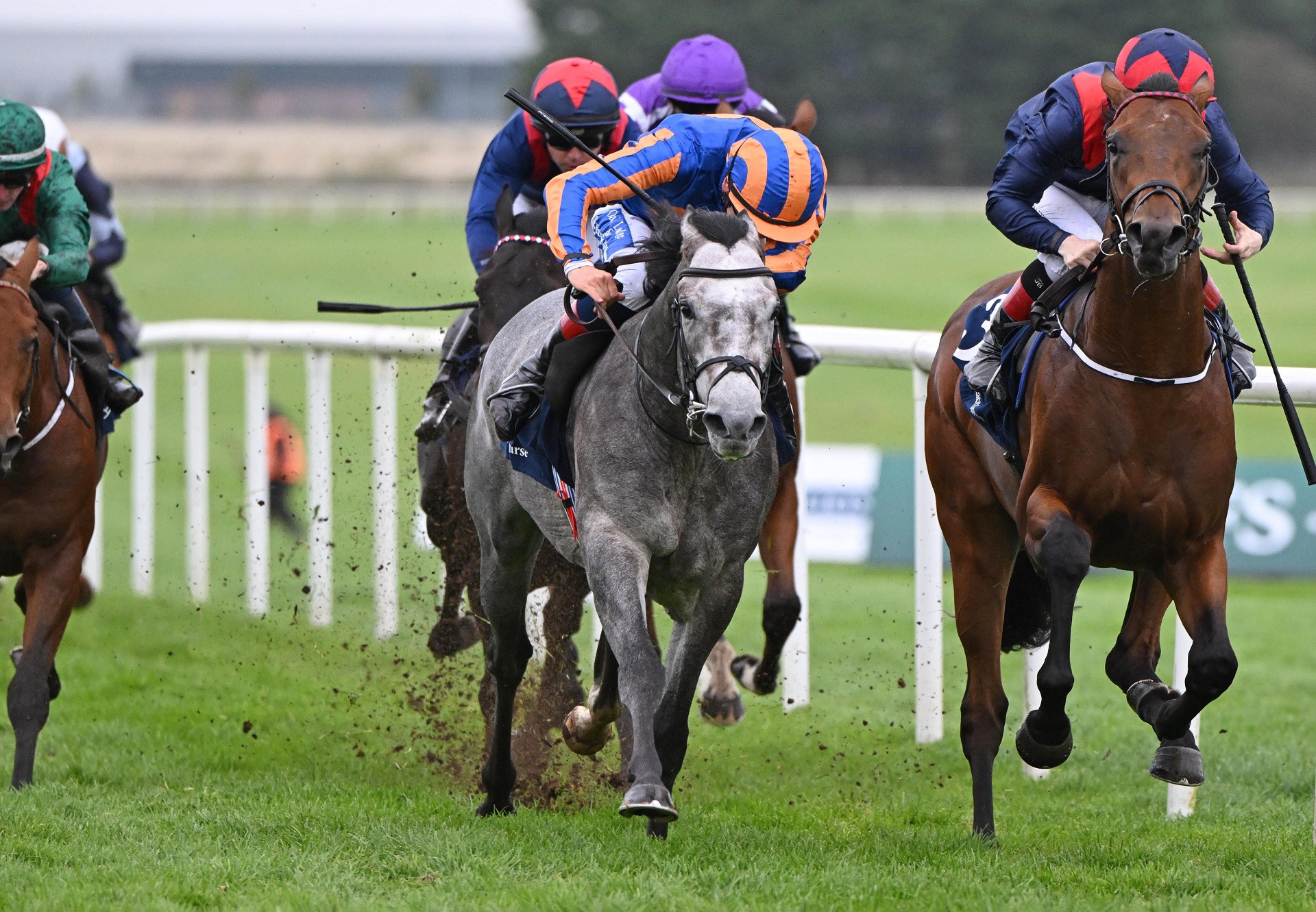 Camelot Colt Makes Perfect Start At Naas