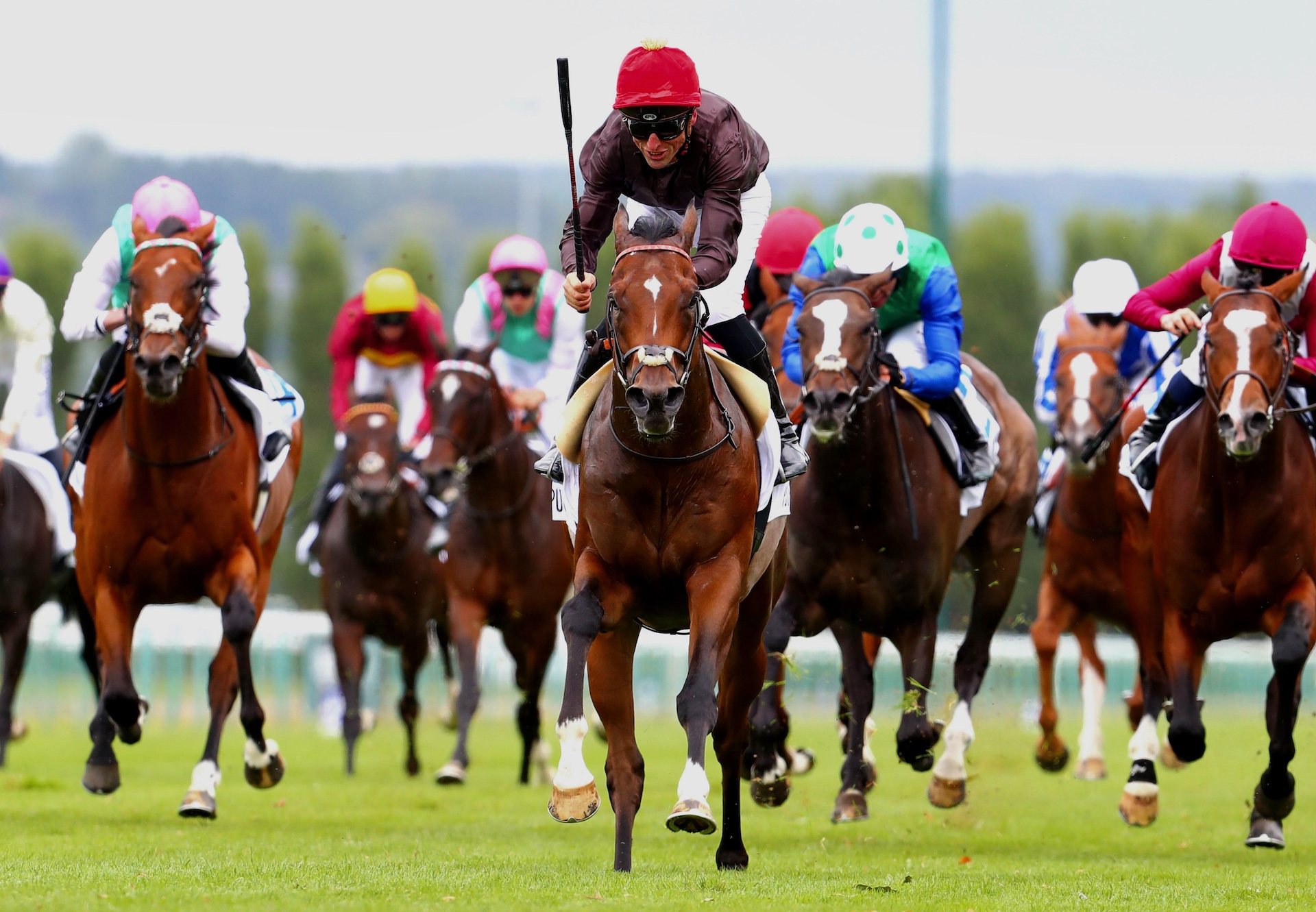Starspangledbanner Colt Wins G1 Prix Jean Prat