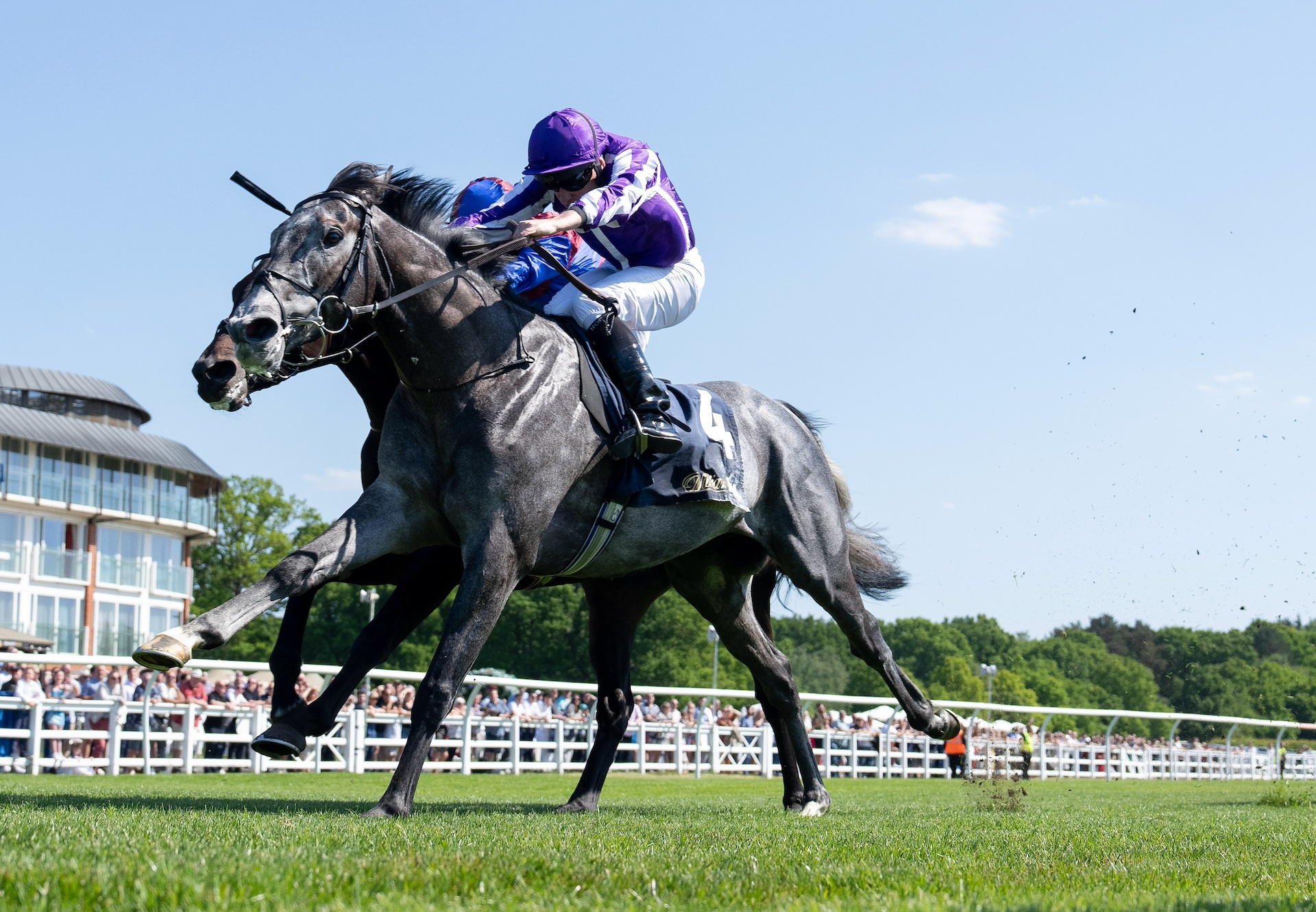 Game Camelot Colt Lands Lingfield Derby Trial