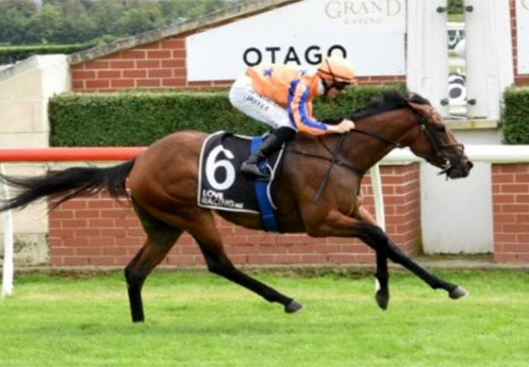 Stakes Potential for King's Legacy Debut Winner