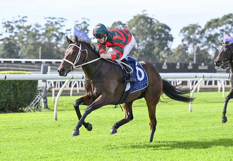 Wootton Bassett Colt on Track for Queensland Campaign