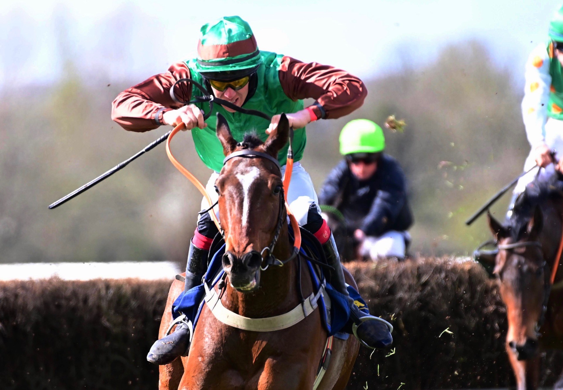 Debut Winner Continues Fine Run For Ocovango