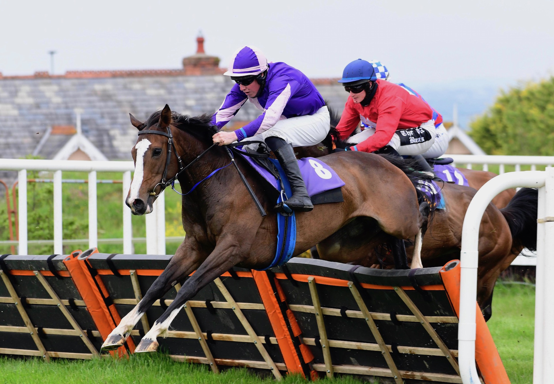 Ocovango Mare Battles For Maiden Hurdle Success
