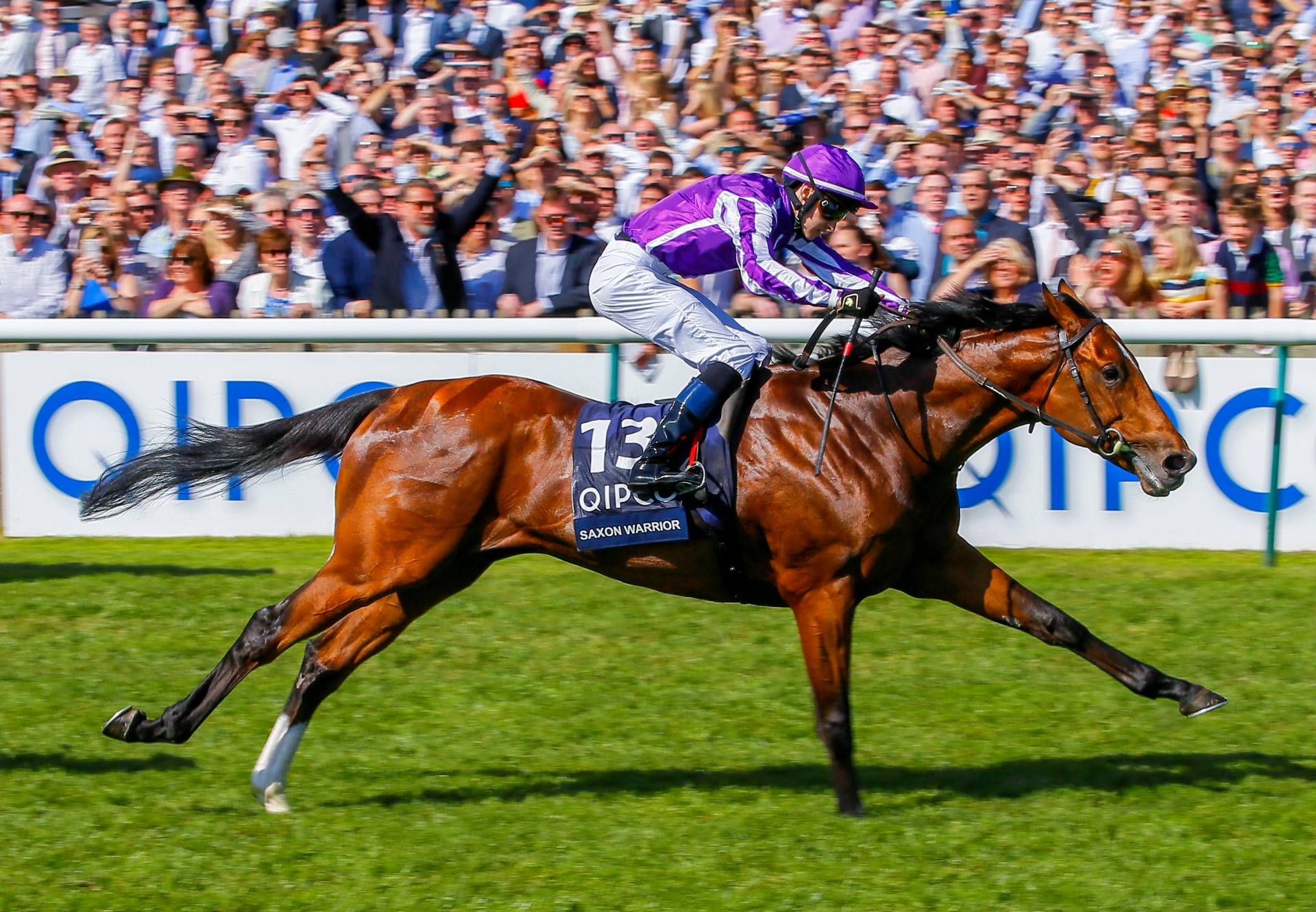 Five new sires to retire to Coolmore for 2019