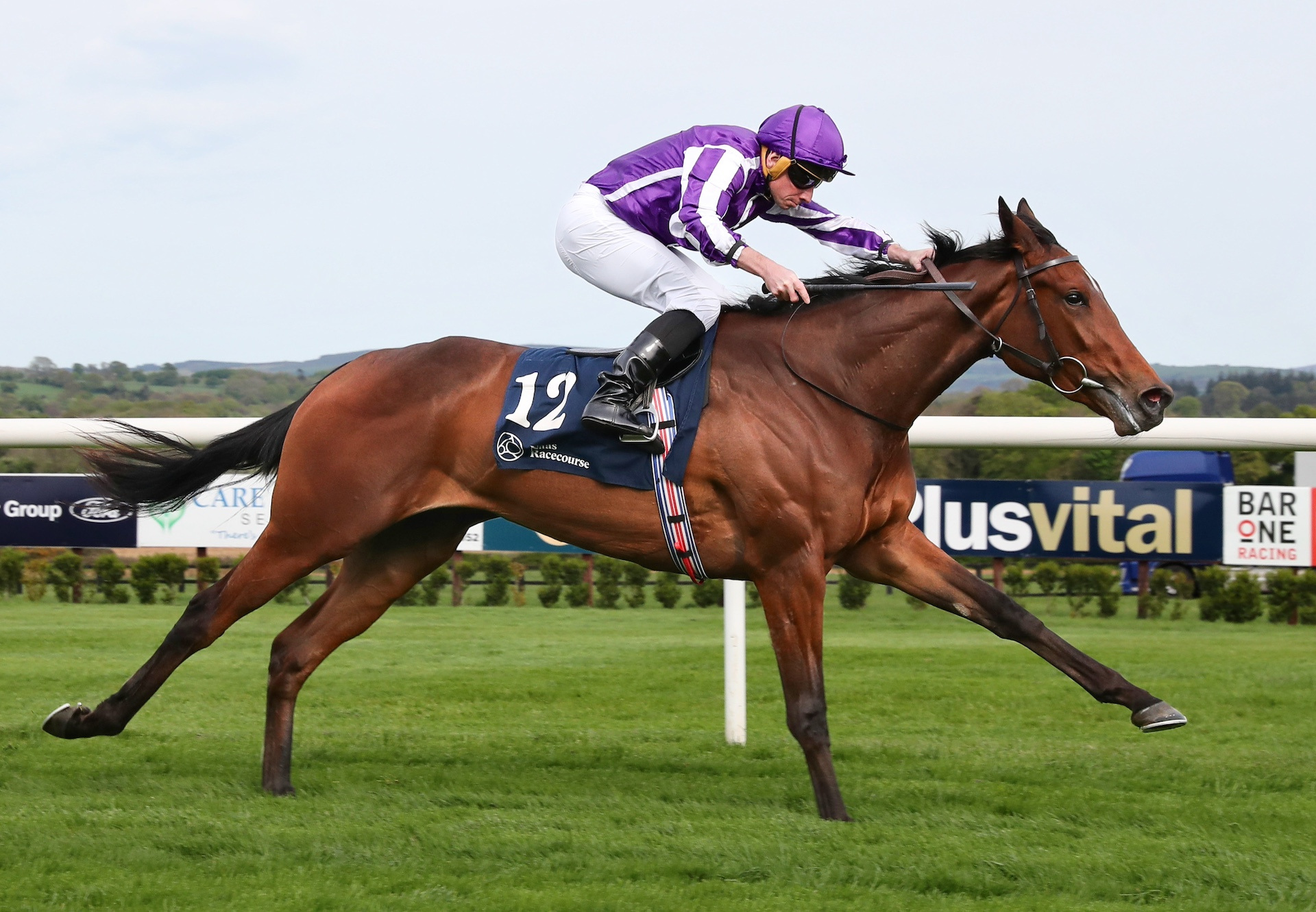 Ballydoyle Blueblood Impresses On Debut