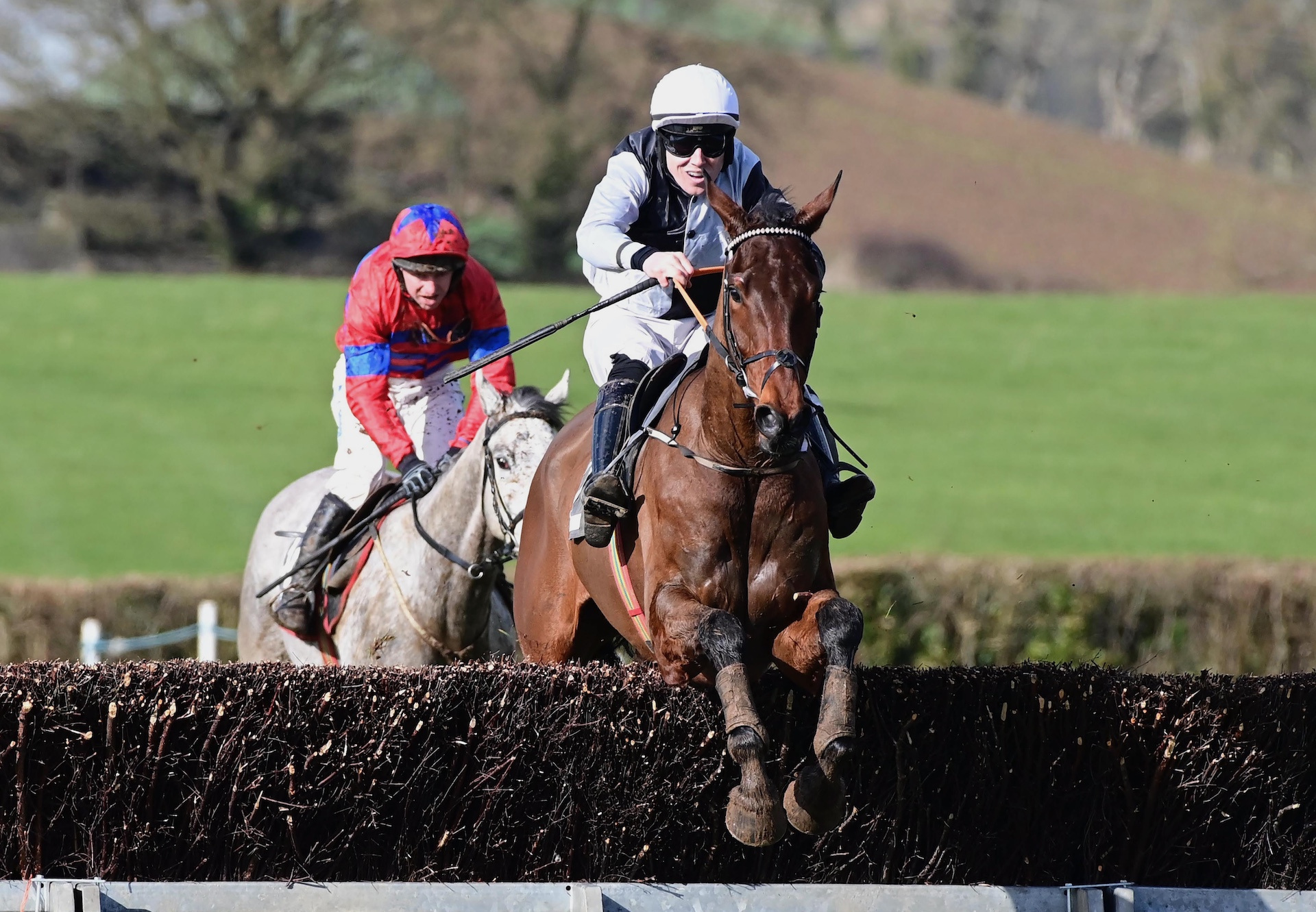 Smart Four-Year-Old Winner By Order Of St George