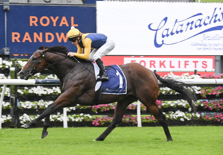 Skyline Triumph for Storm Boy