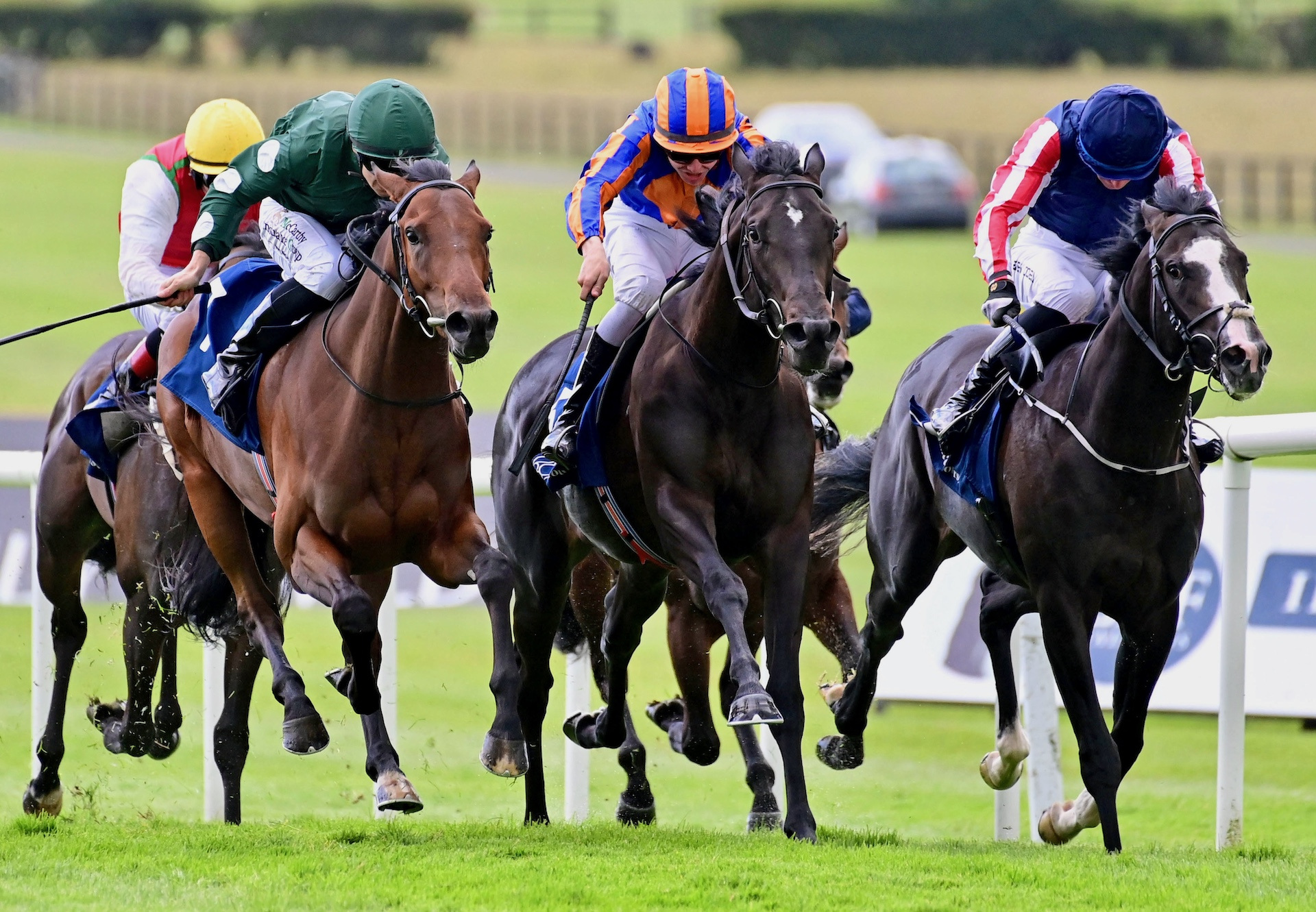 Wootton Bassett Colt Comes Out On Top At Naas