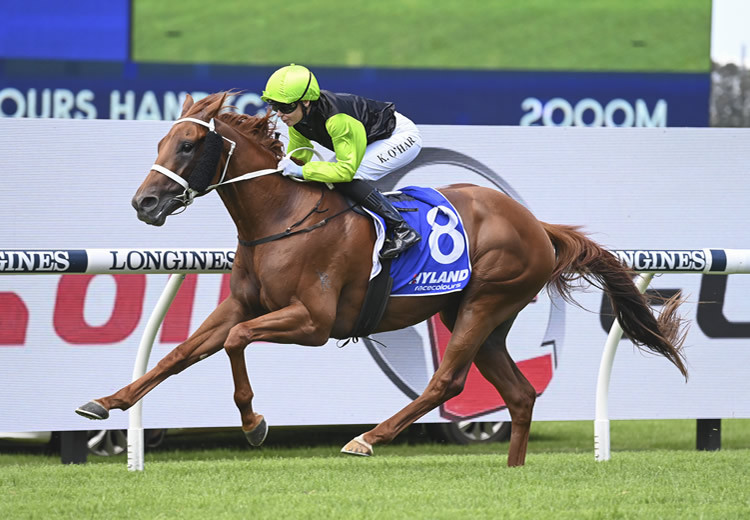 Sword Point Impresses at Rosehill