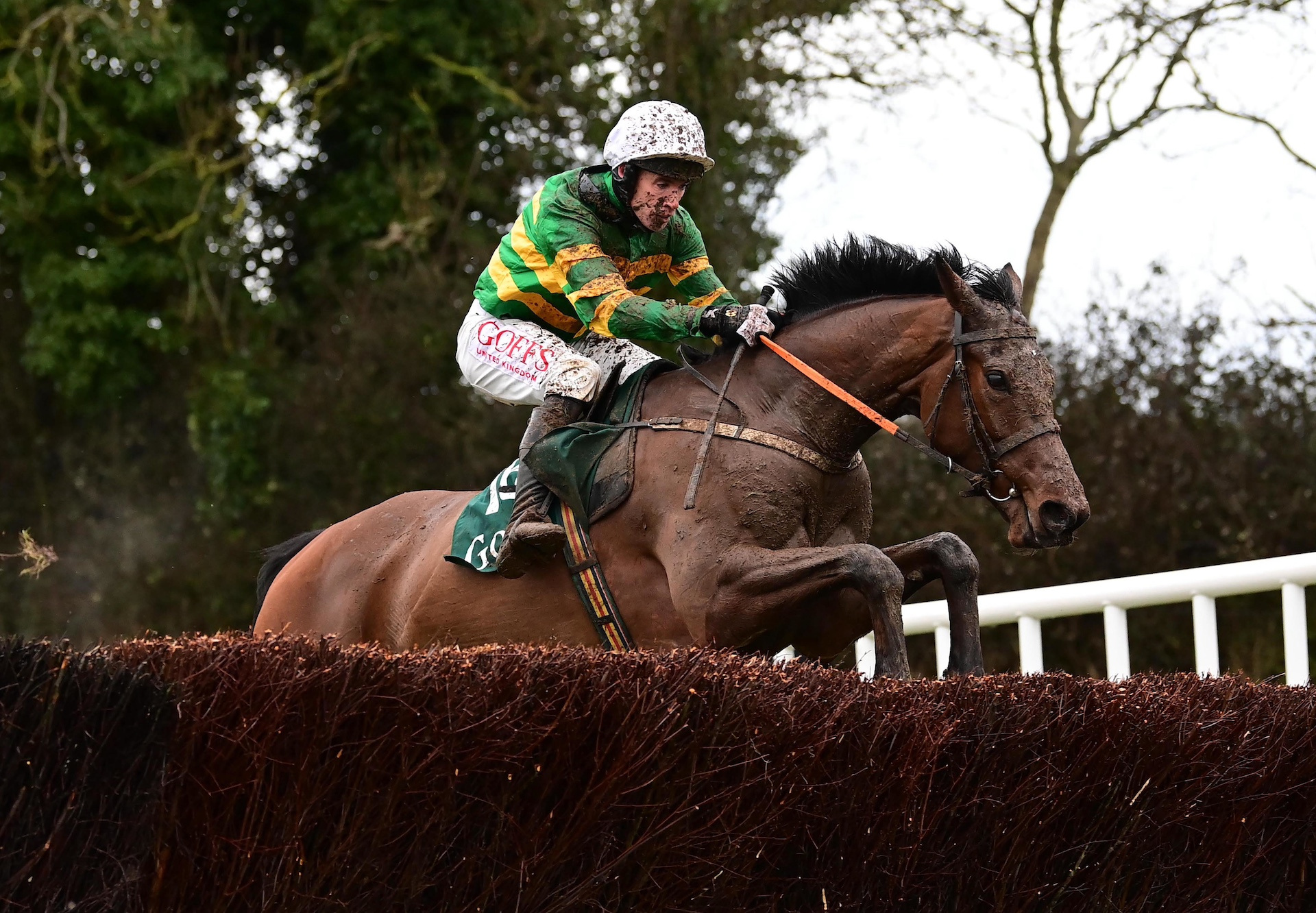 Well Related Getaway Gelding Makes Smart Debut