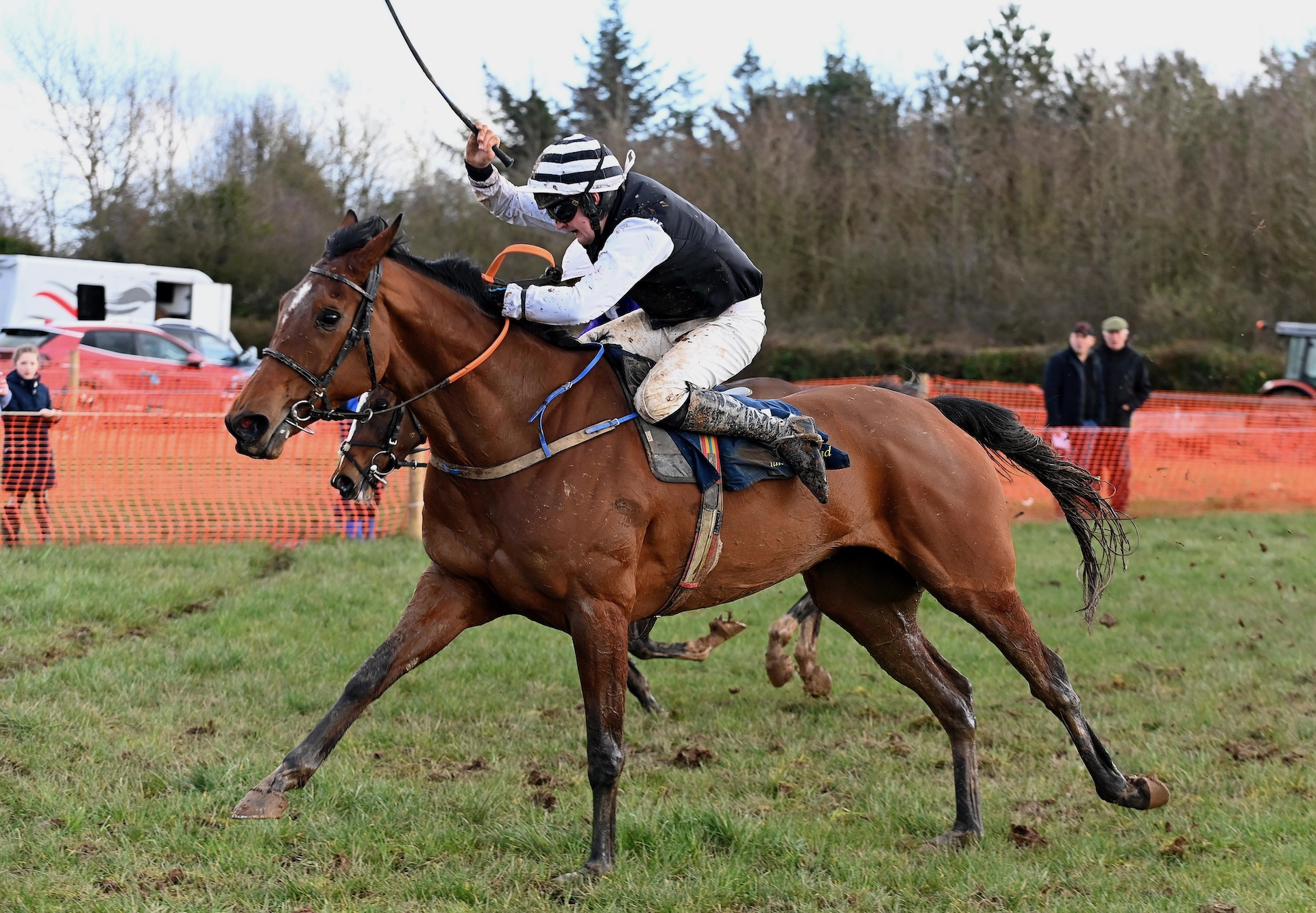 Trio Of Point-To-Point Maiden Winners For Westerner