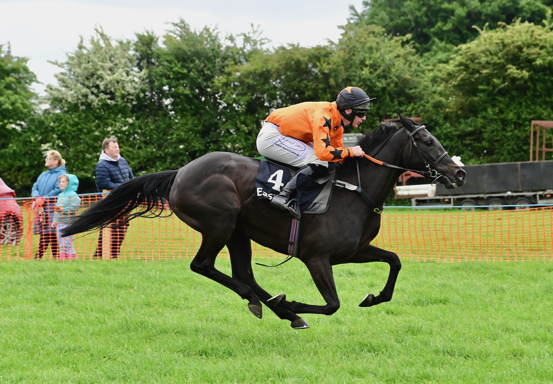 Wings Of Eagles Mare Bolts Up On Debut