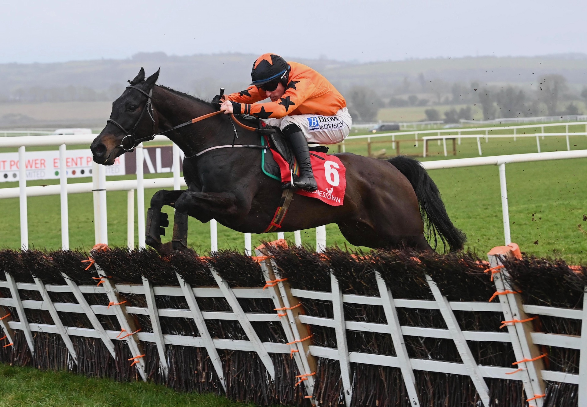 Wings Of Eagles Mare Draws Clear At Punchestown