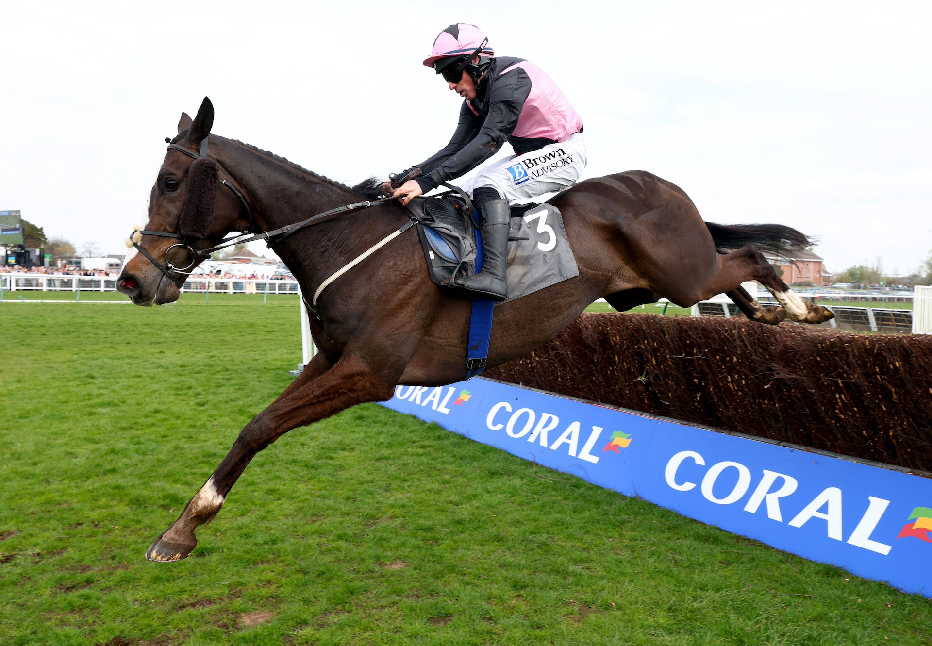 Vadamos Gelding Wins Grade 3 Chase In Good Style